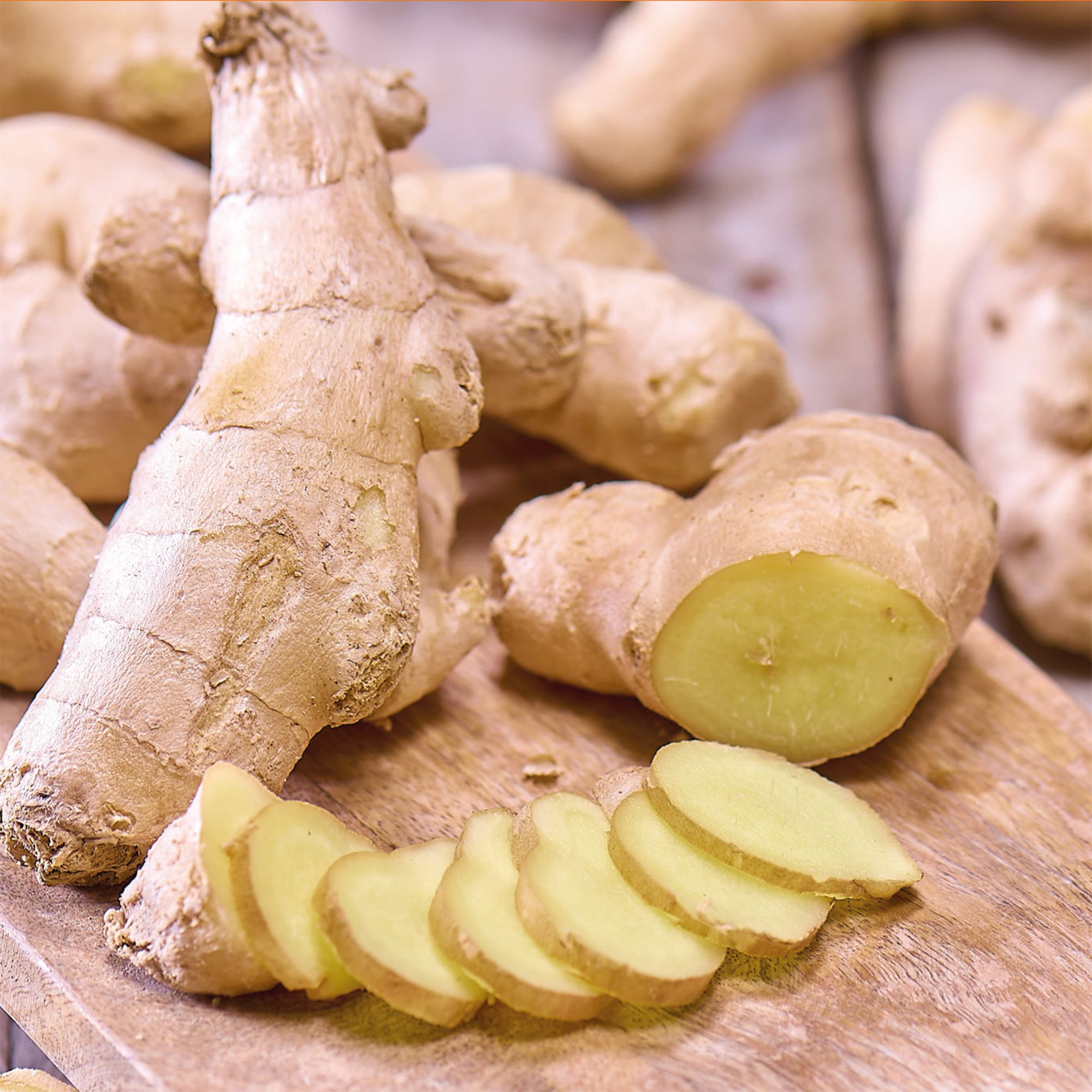 Verve Grow Zinibar Officinale Ginger Tuber