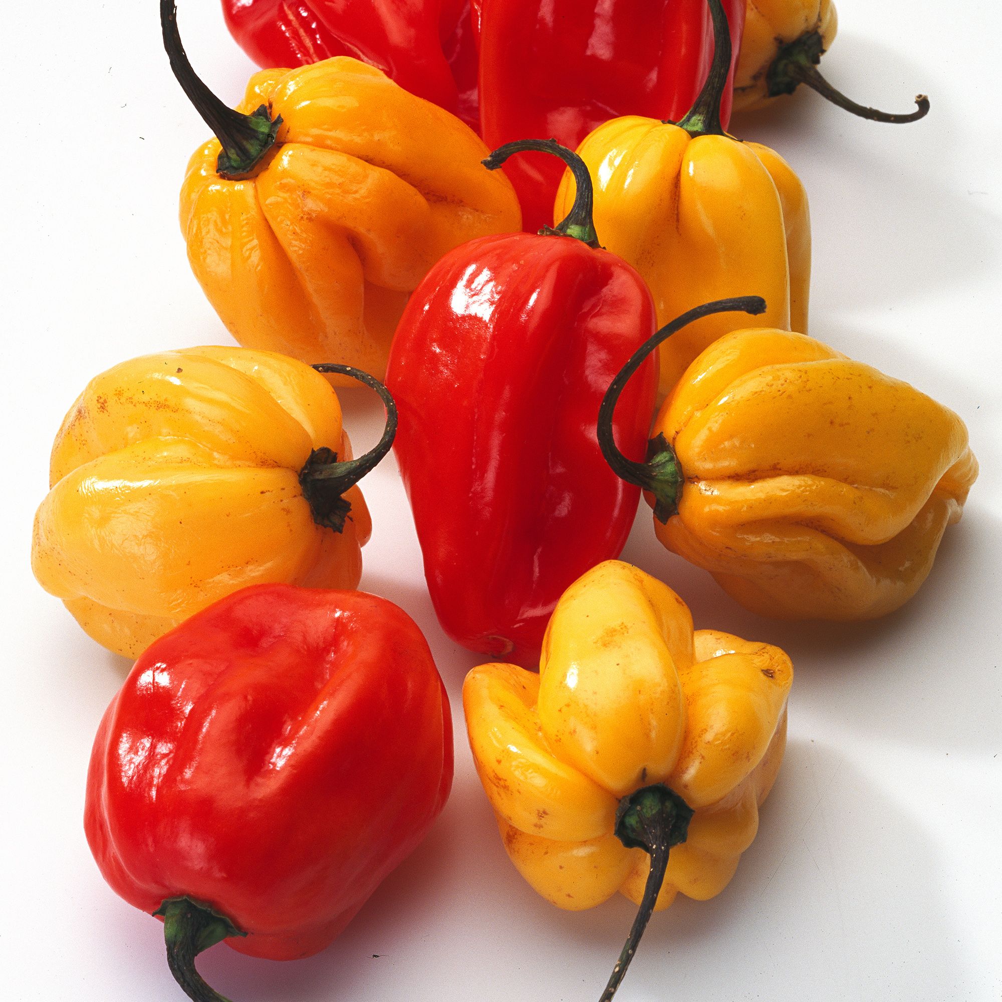Verve Habanero orange chilli Vegetable Seeds