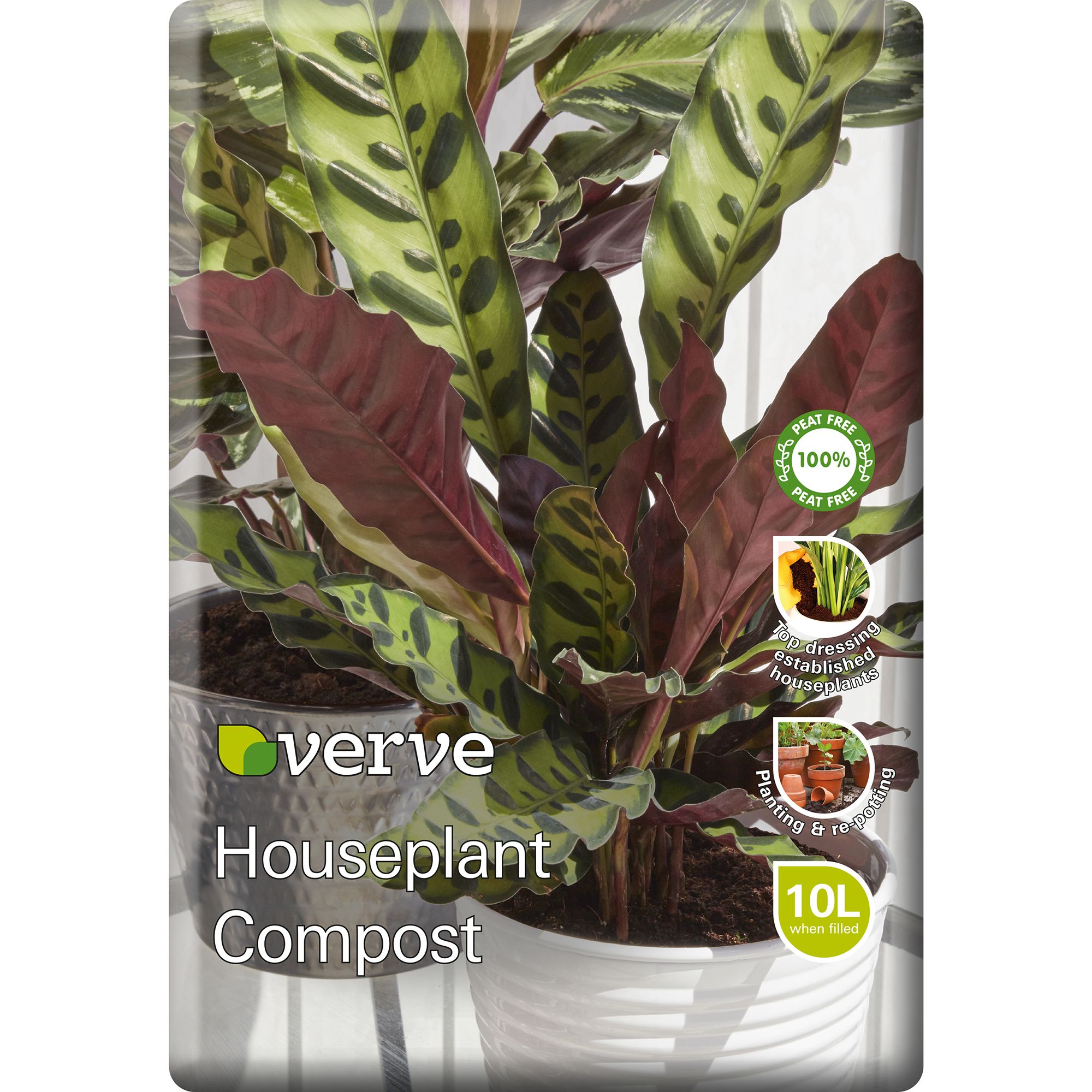 Verve Houseplants Compost 10L Bag | DIY at B&Q