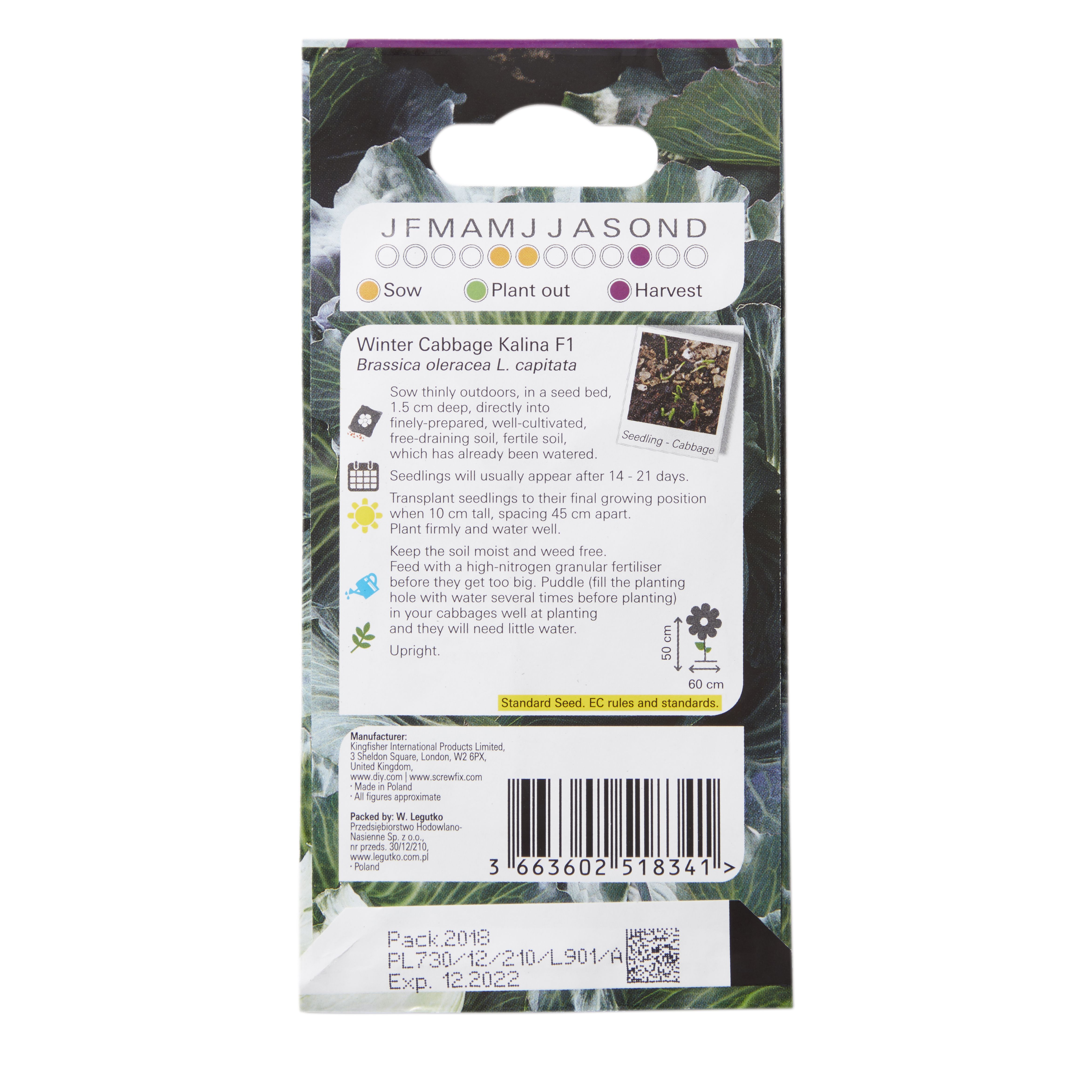 Verve Kalina F1 winter cabbage Vegetable Seeds