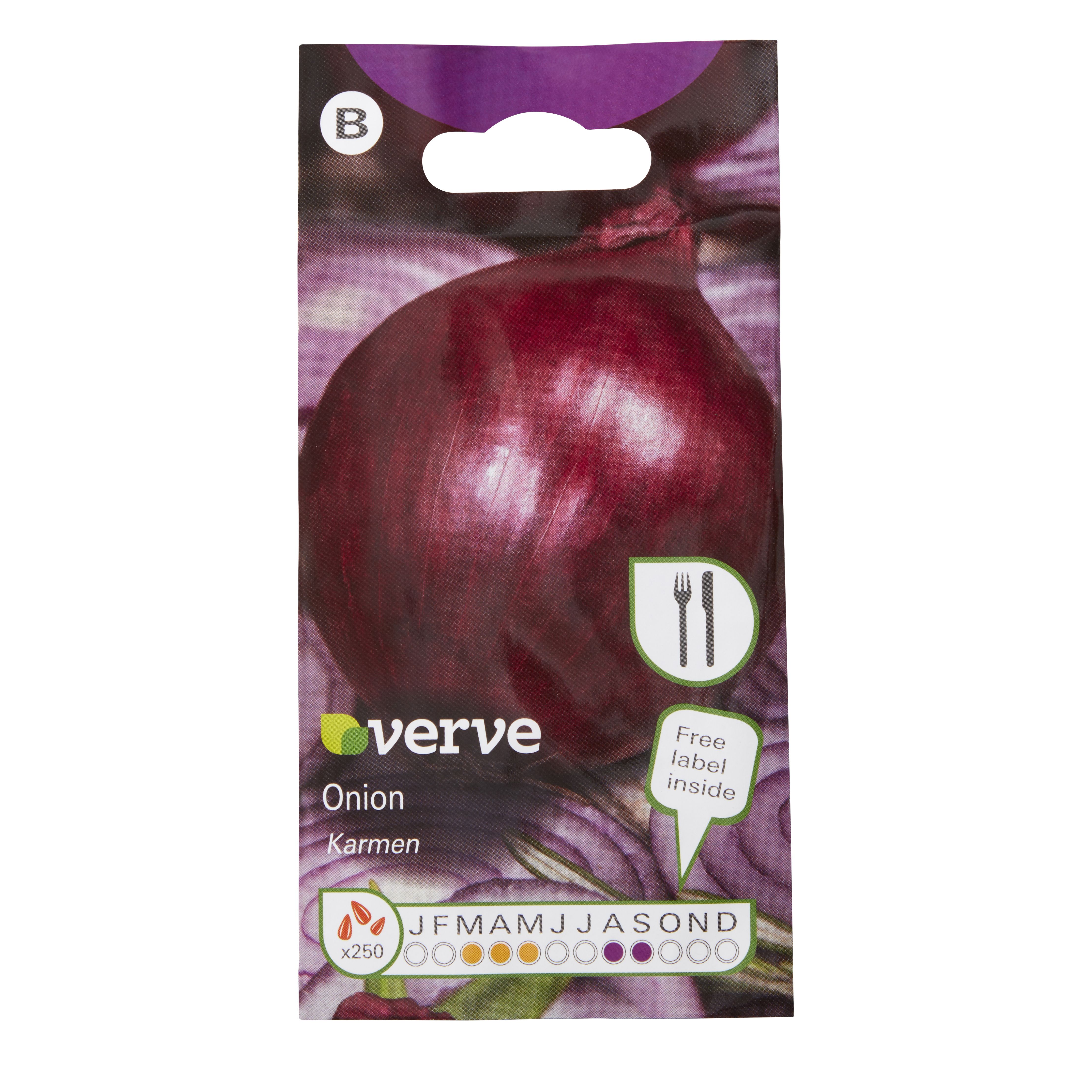 Verve Karmen onion Vegetable Seeds | DIY at B&Q