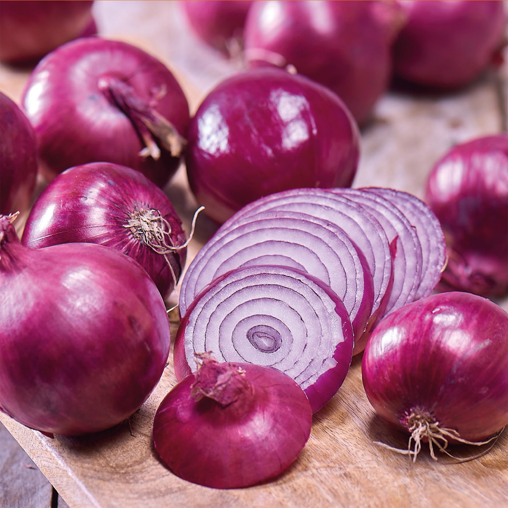 VERVE KARMEN RED ONION SETS