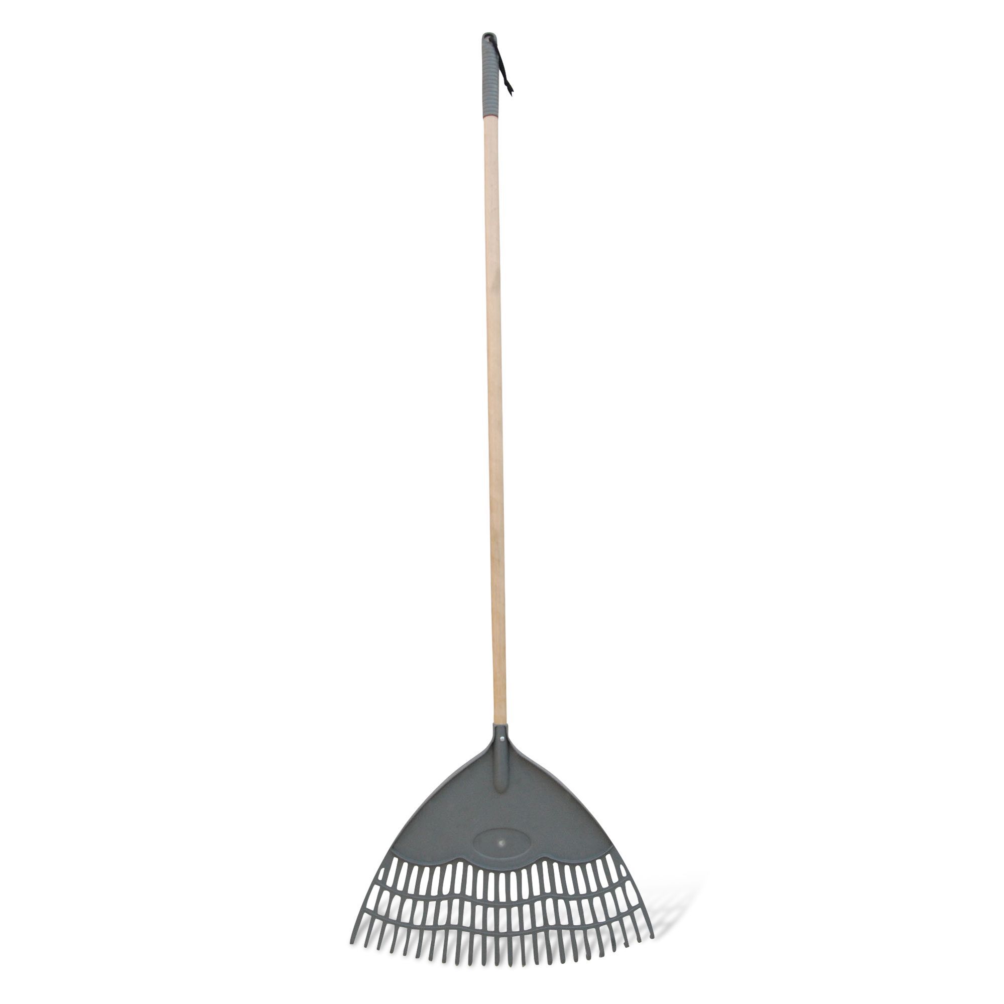 Verve Lawn Rake (W)555mm | DIY at B&Q