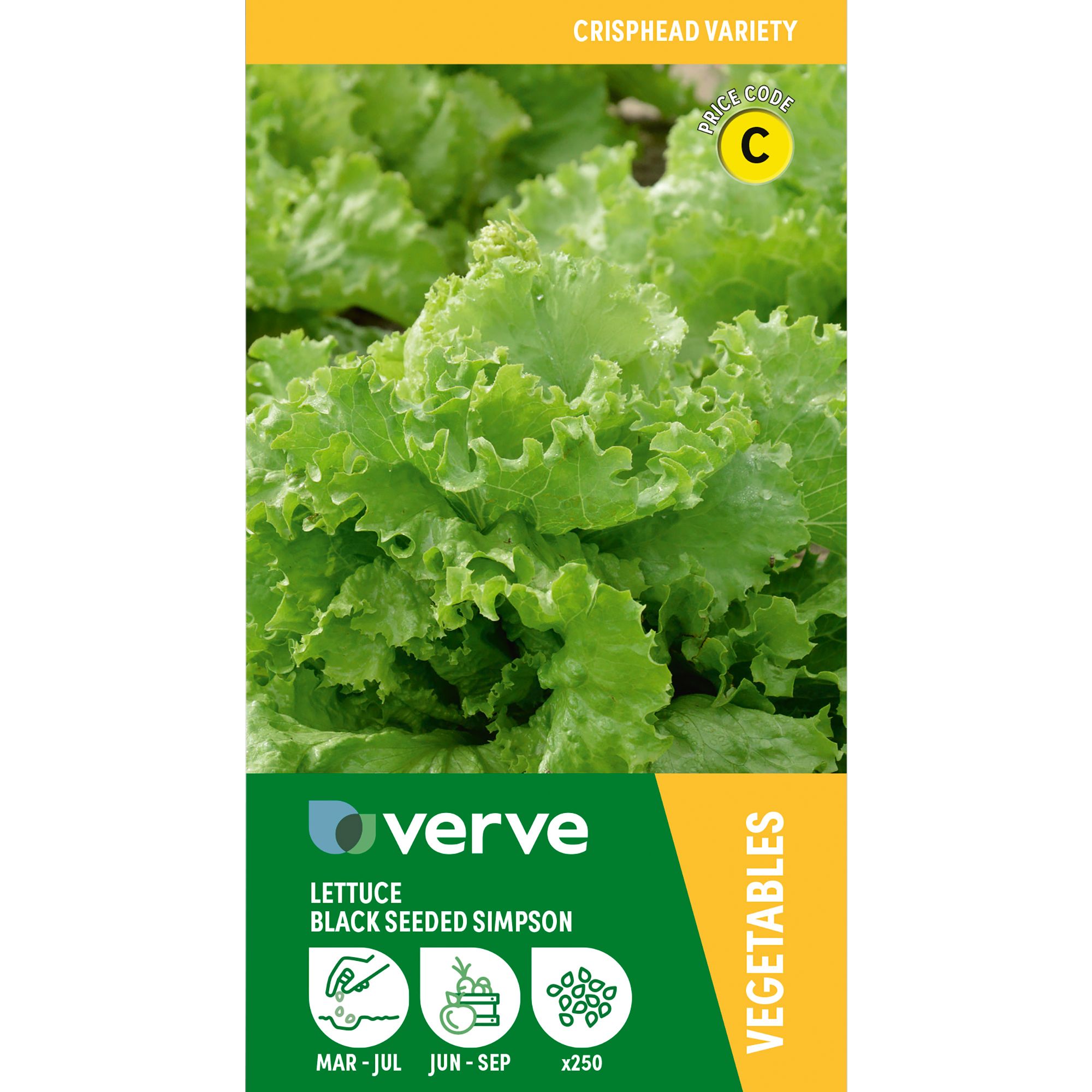 Verve Lettuce 'Black Seeded Simpson' Vegetable Seeds