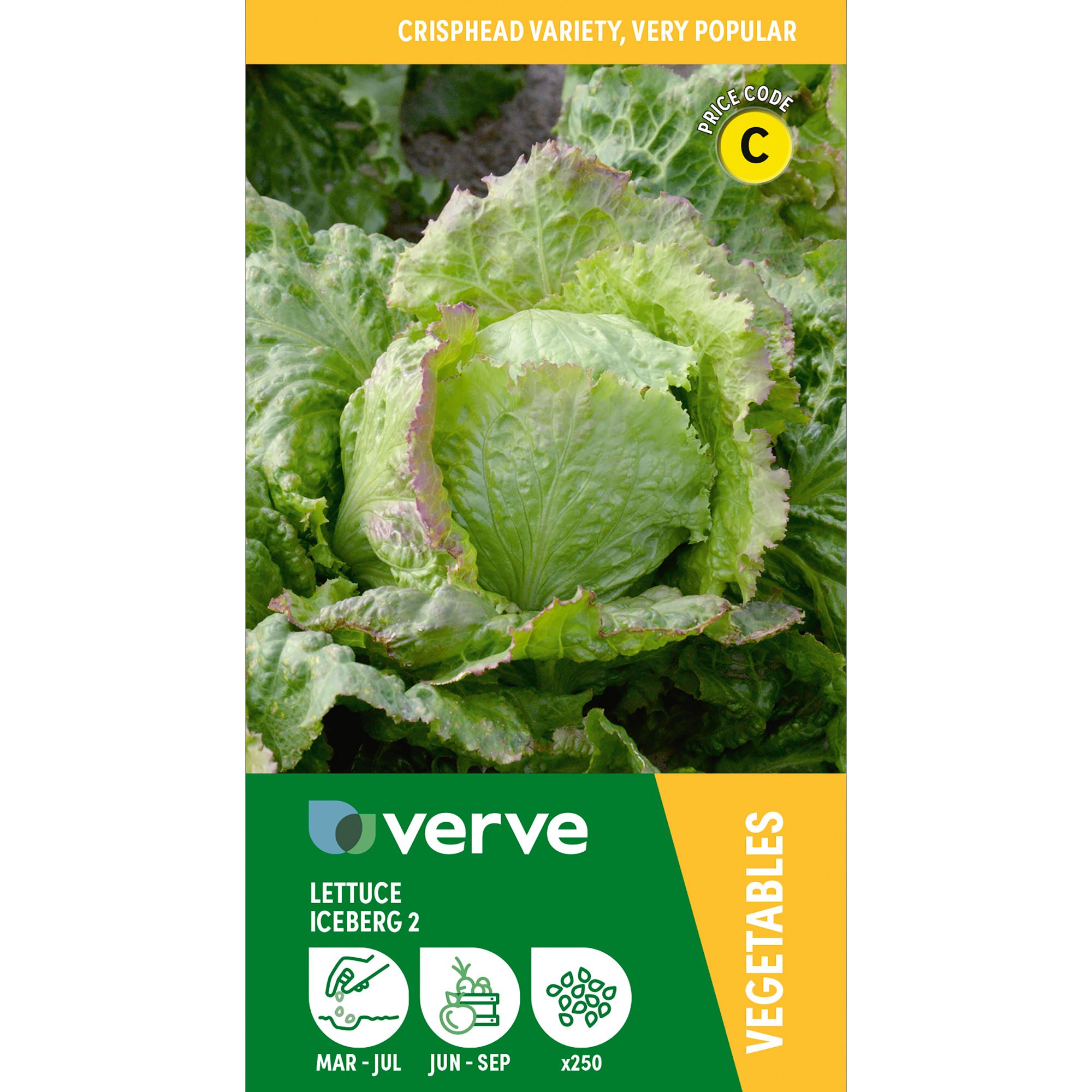 Verve Lettuce 'Iceberg 2' Vegetable Seeds