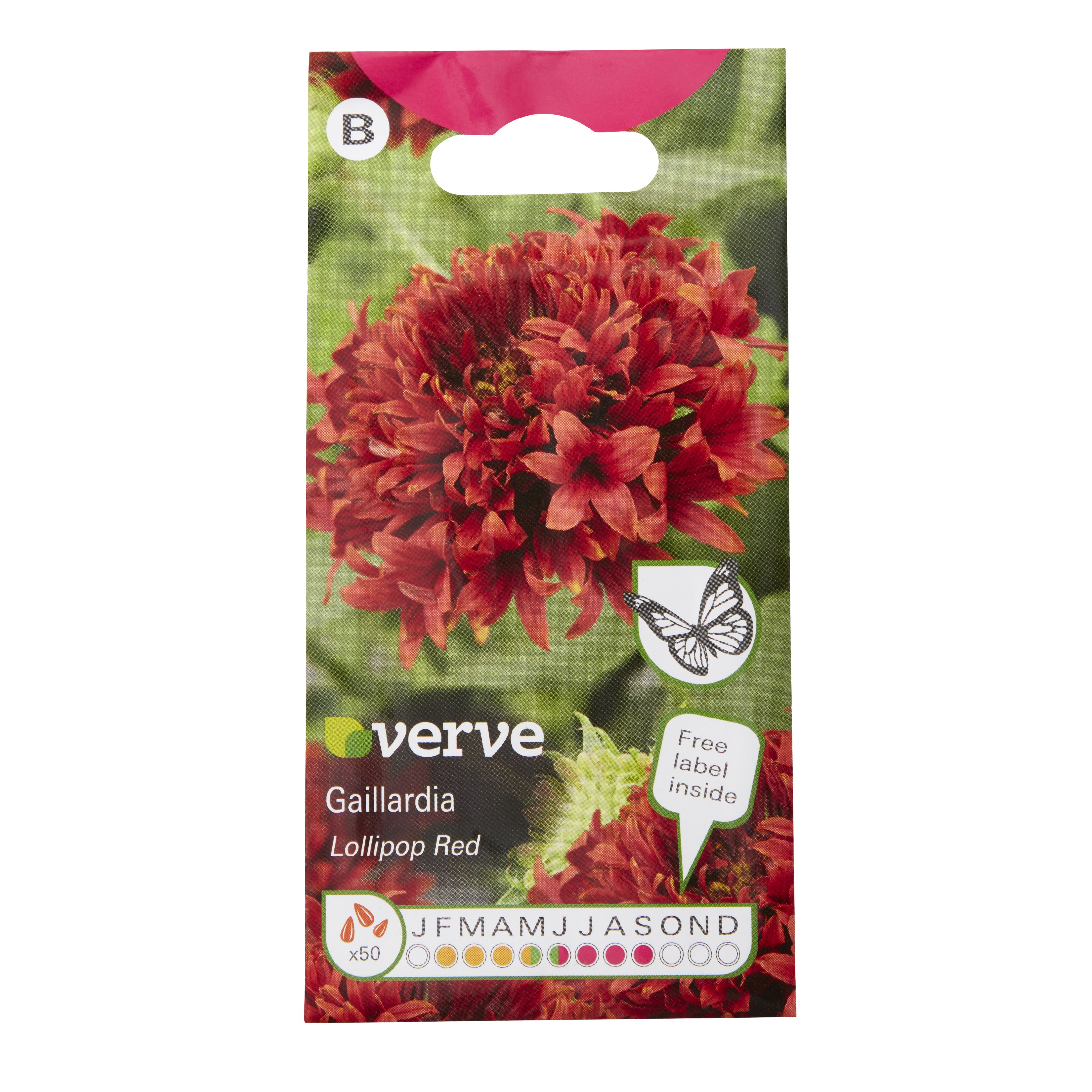 Verve Lollipop red Seeds | DIY at B&Q