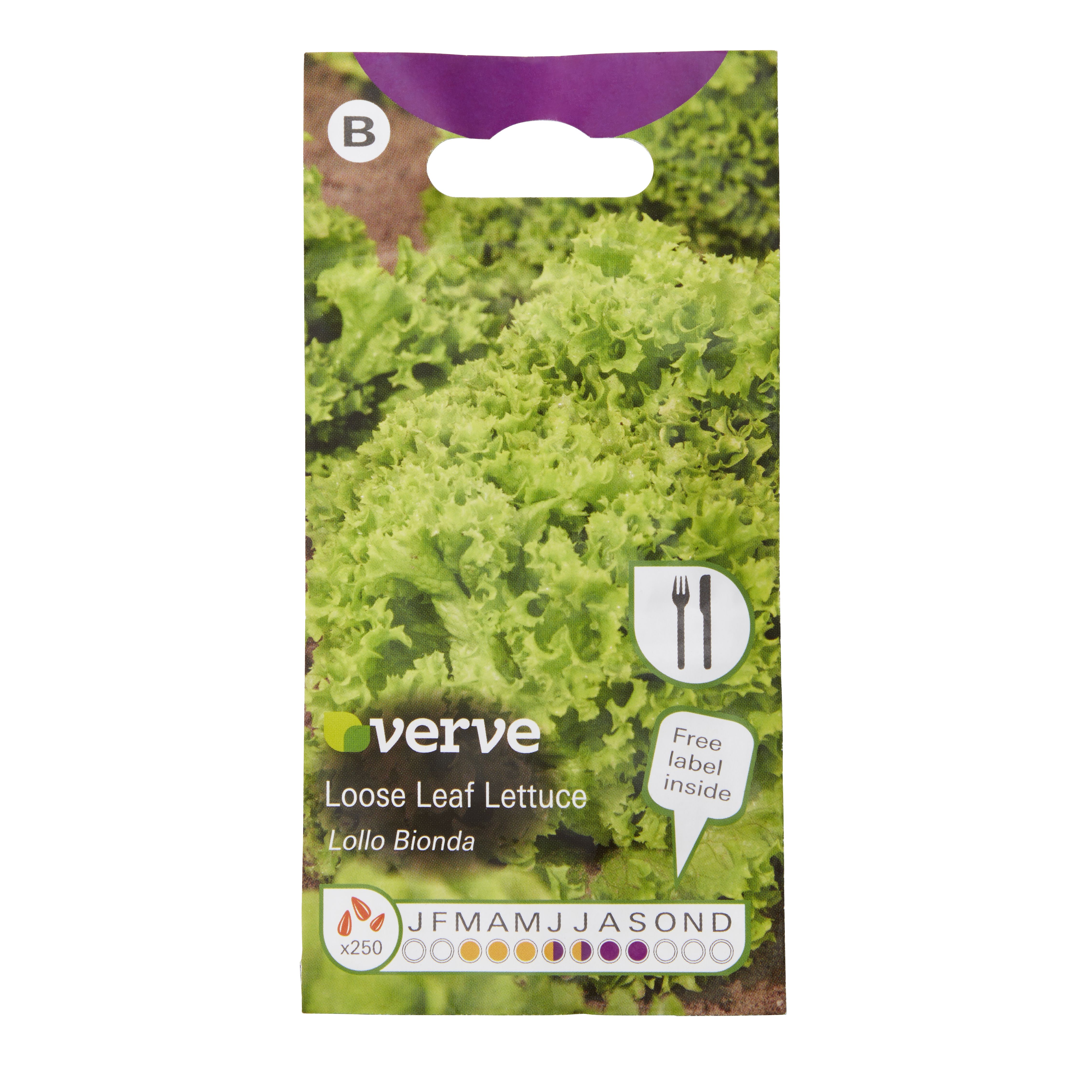 Verve Lollo bionda lettuce Vegetable Seeds | DIY at B&Q