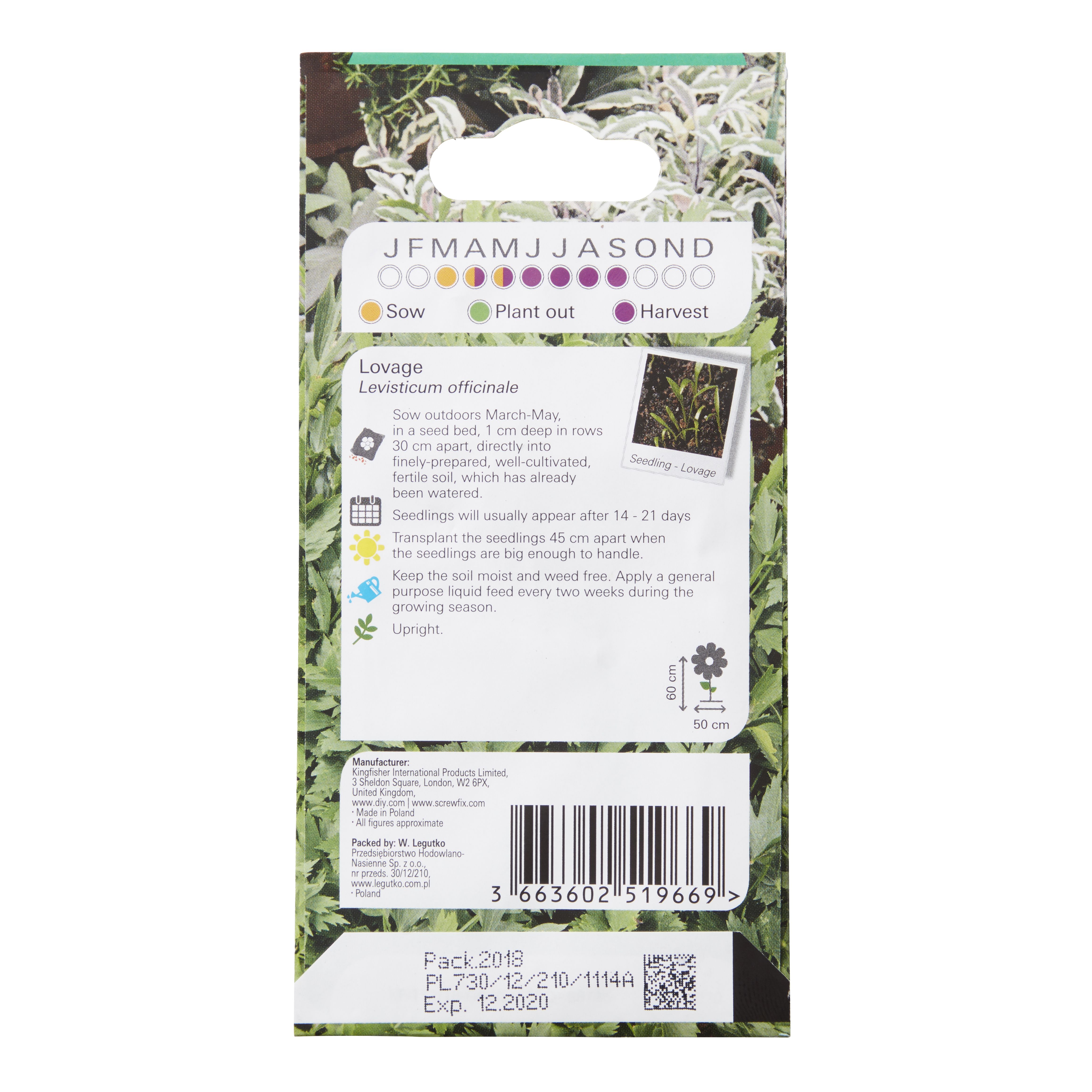 Verve Lovage Vegetable Seeds