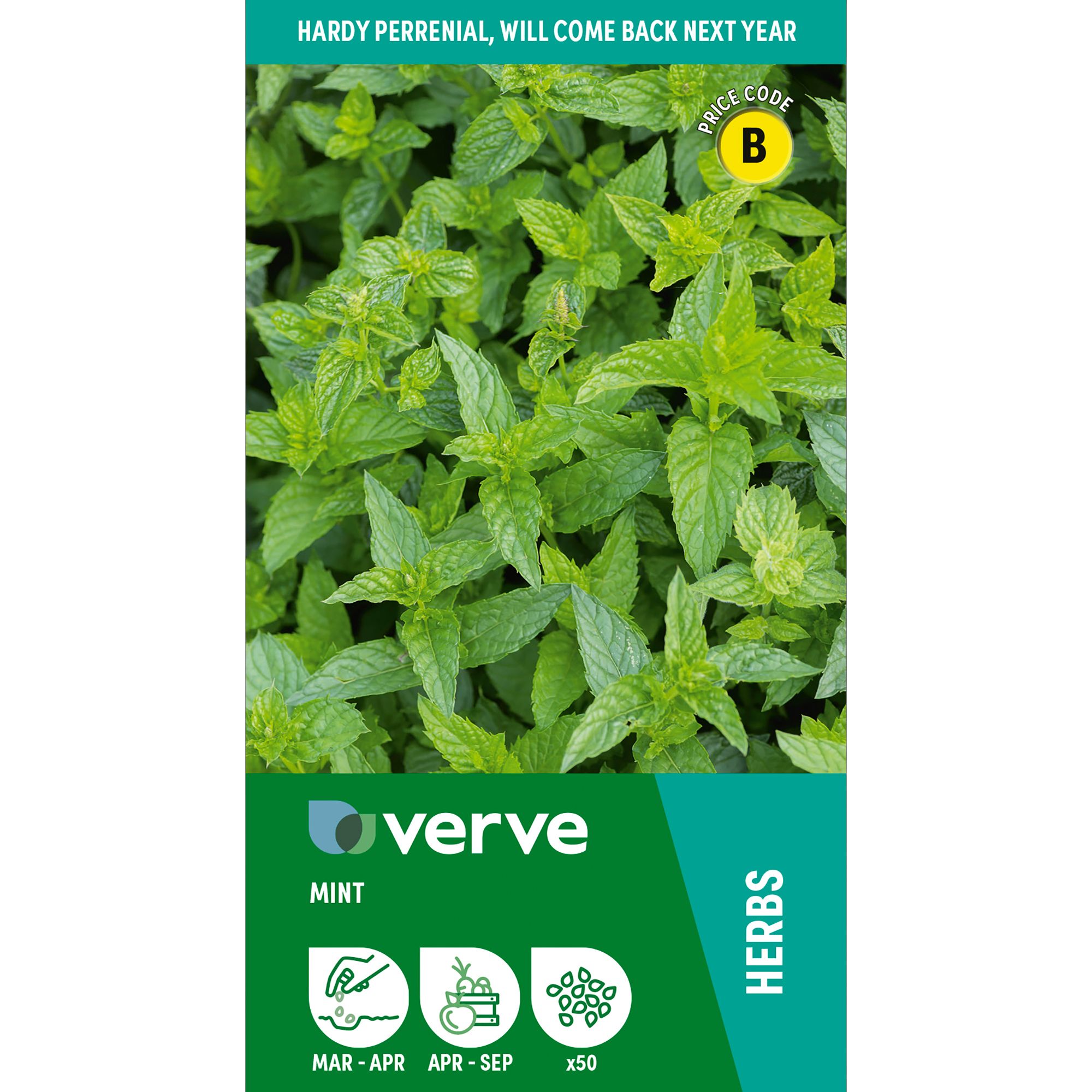 Verve Mint 'Mint' Herb Seeds