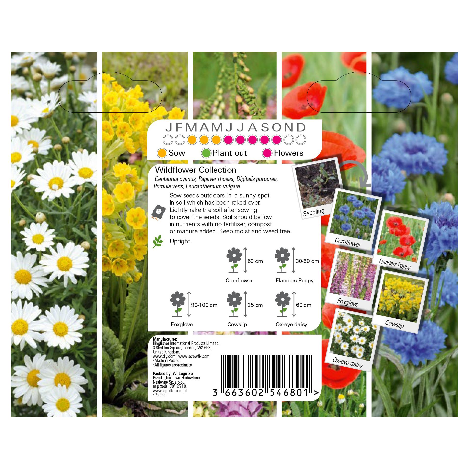 Verve Mixed Collection Wildflower Seeds