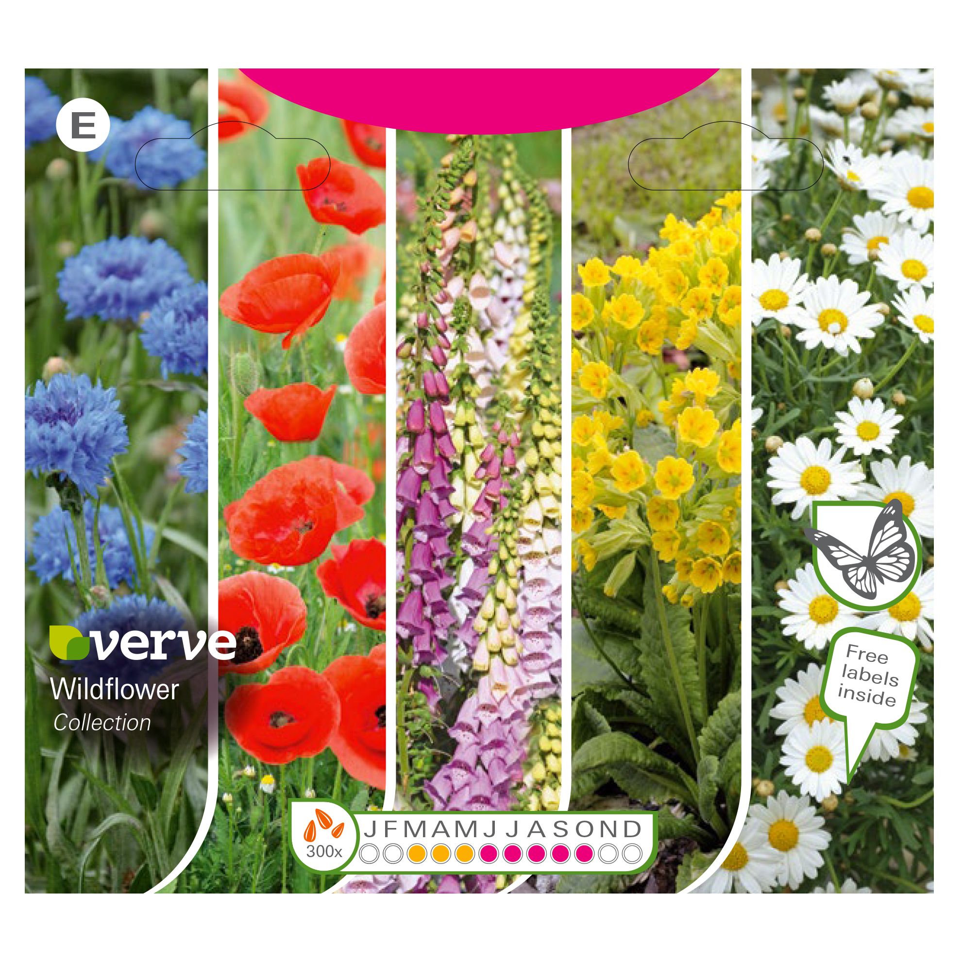Verve Mixed Collection Wildflower Seeds