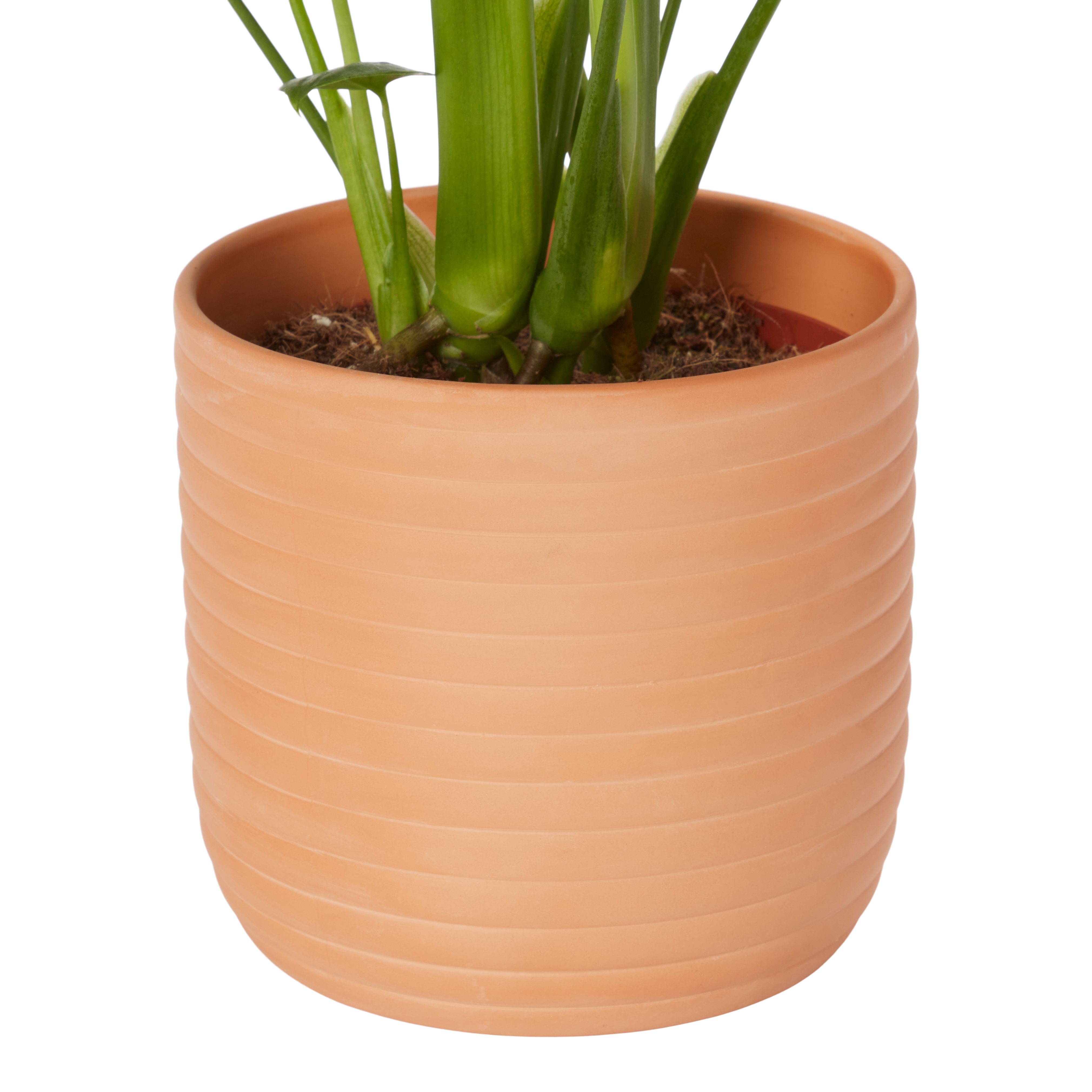 Verve Monstera Terracotta Decorative pot 13cm