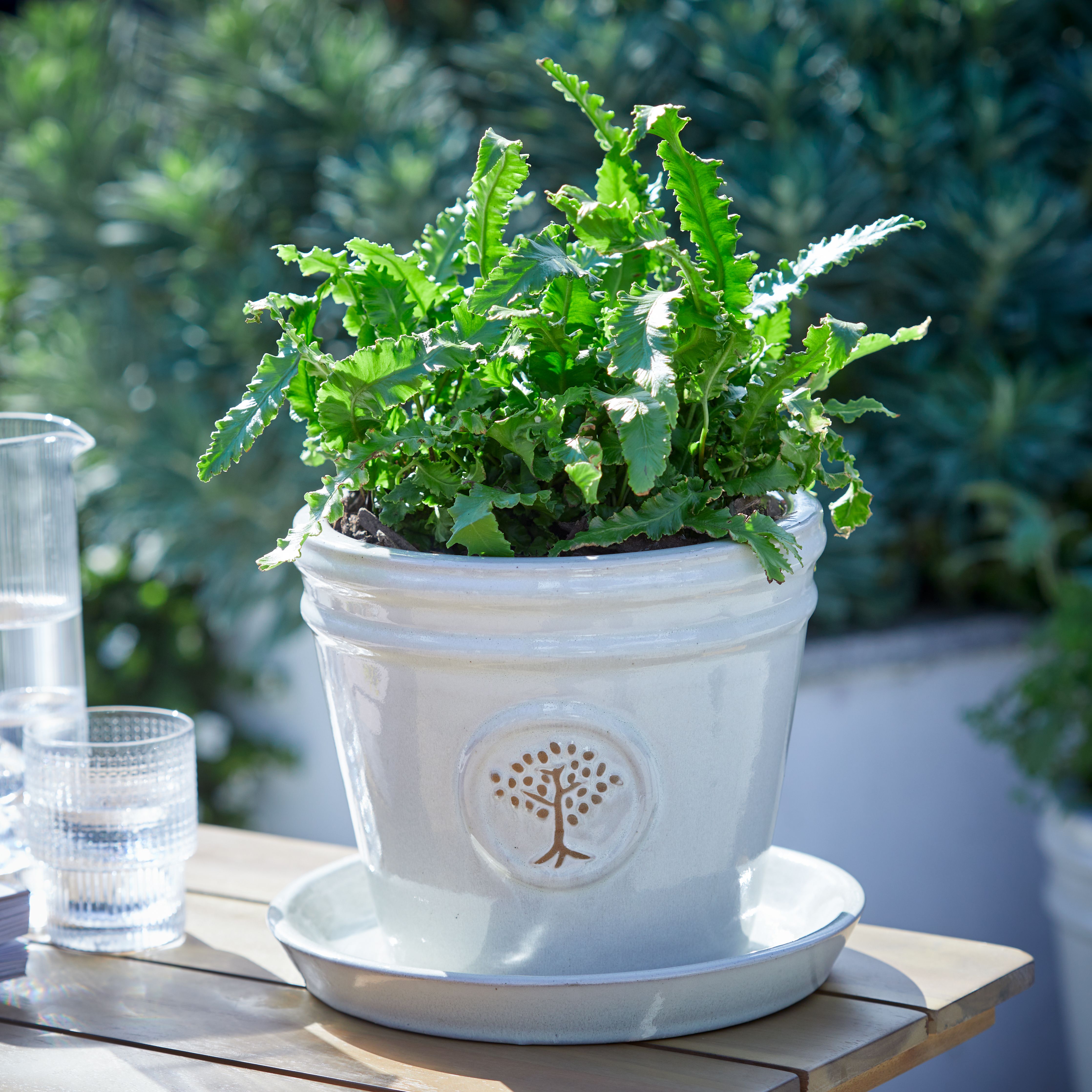 Verve Moon Beam Ceramic Plant pot (Dia) 20cm, (H)18cm, 3L