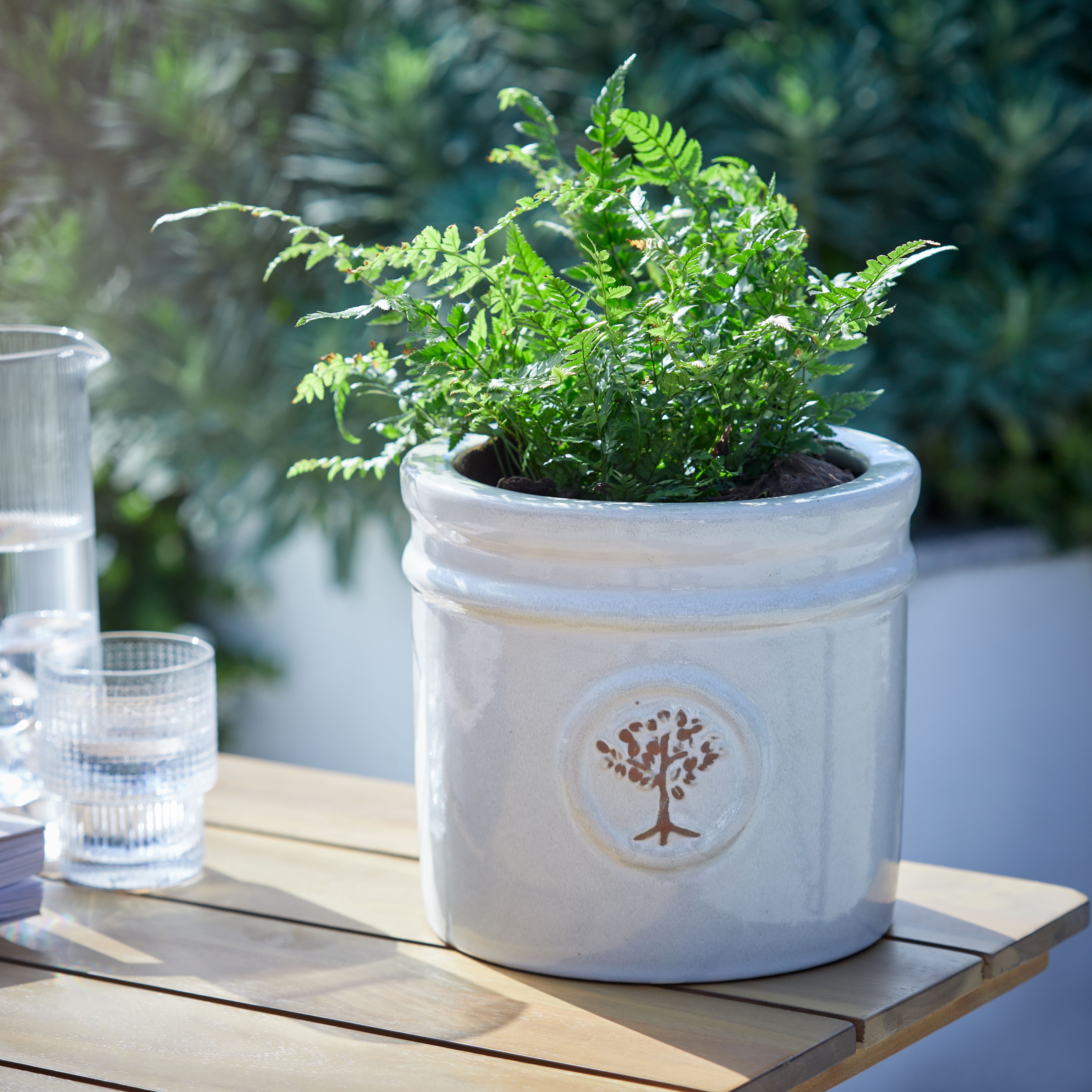 Verve Moon Beam Ceramic Plant pot (Dia) 20cm, (H)19cm