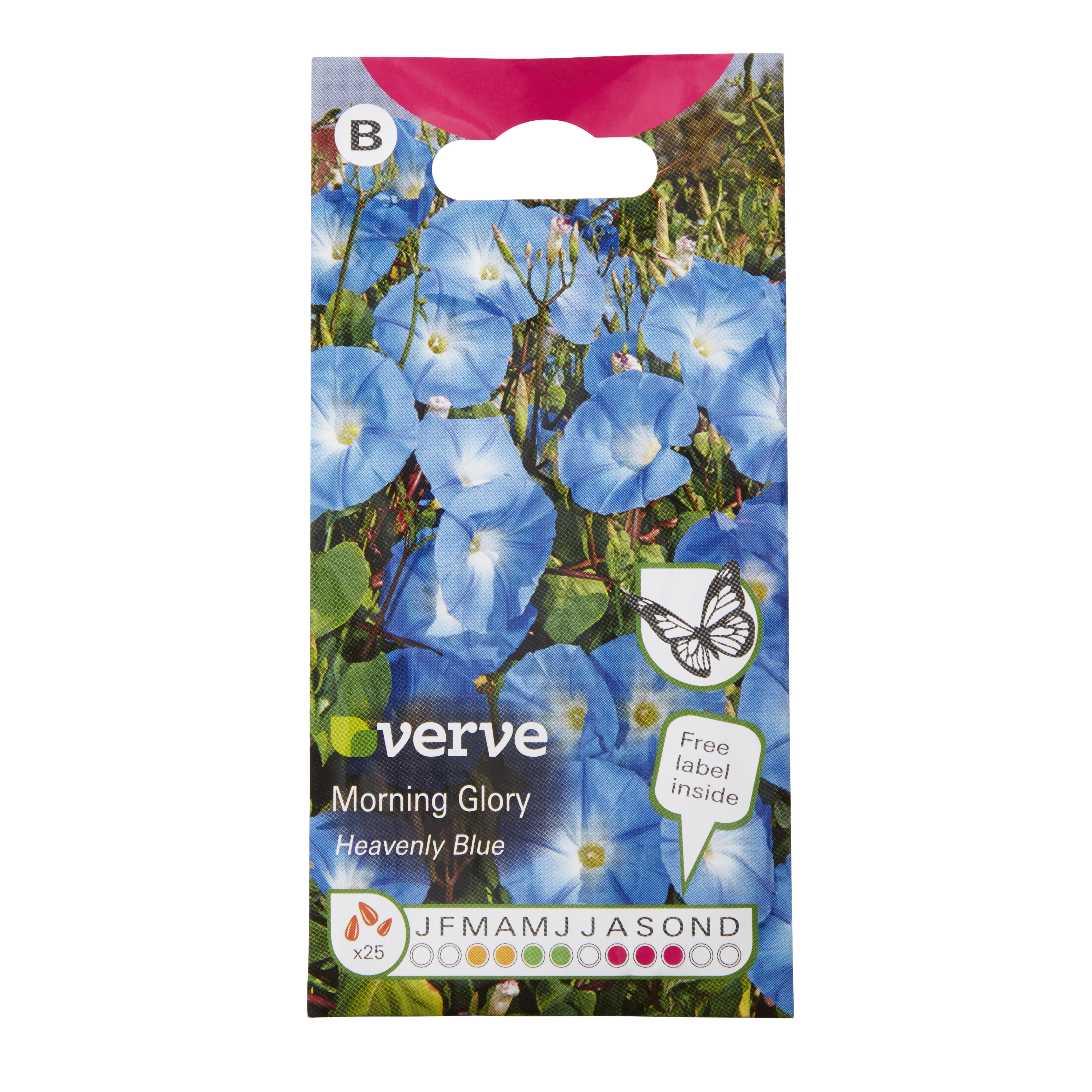 Buy Verve Morning glory heavenly blue Seeds | DIY at B&Q