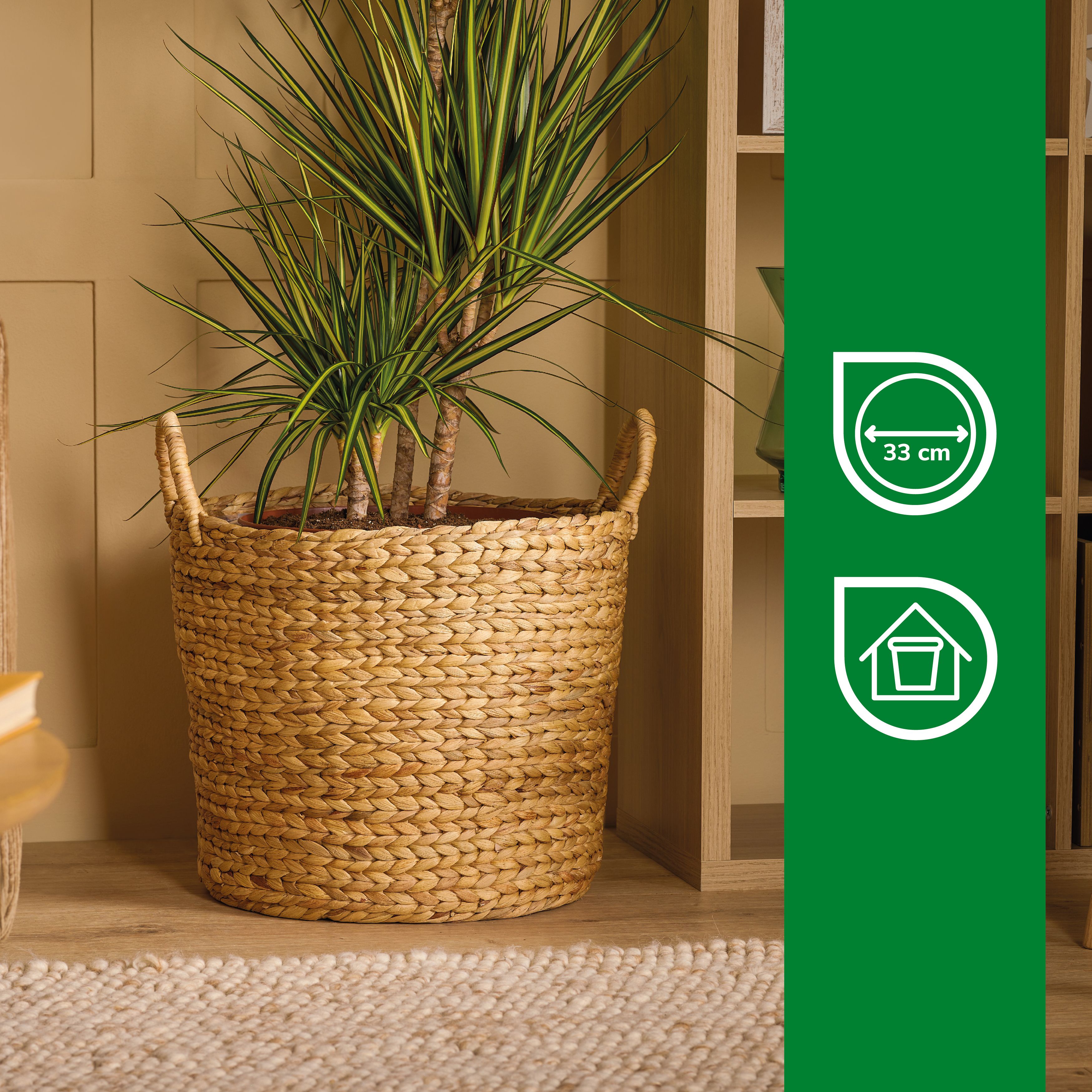 Verve Natural Seagrass Plant pot (Dia) 37.5cm, (H)42.5cm