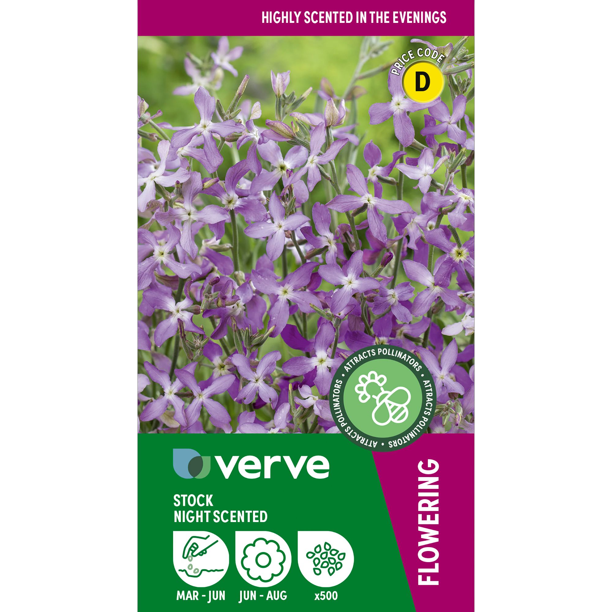 Verve Night Scented Stock Seeds