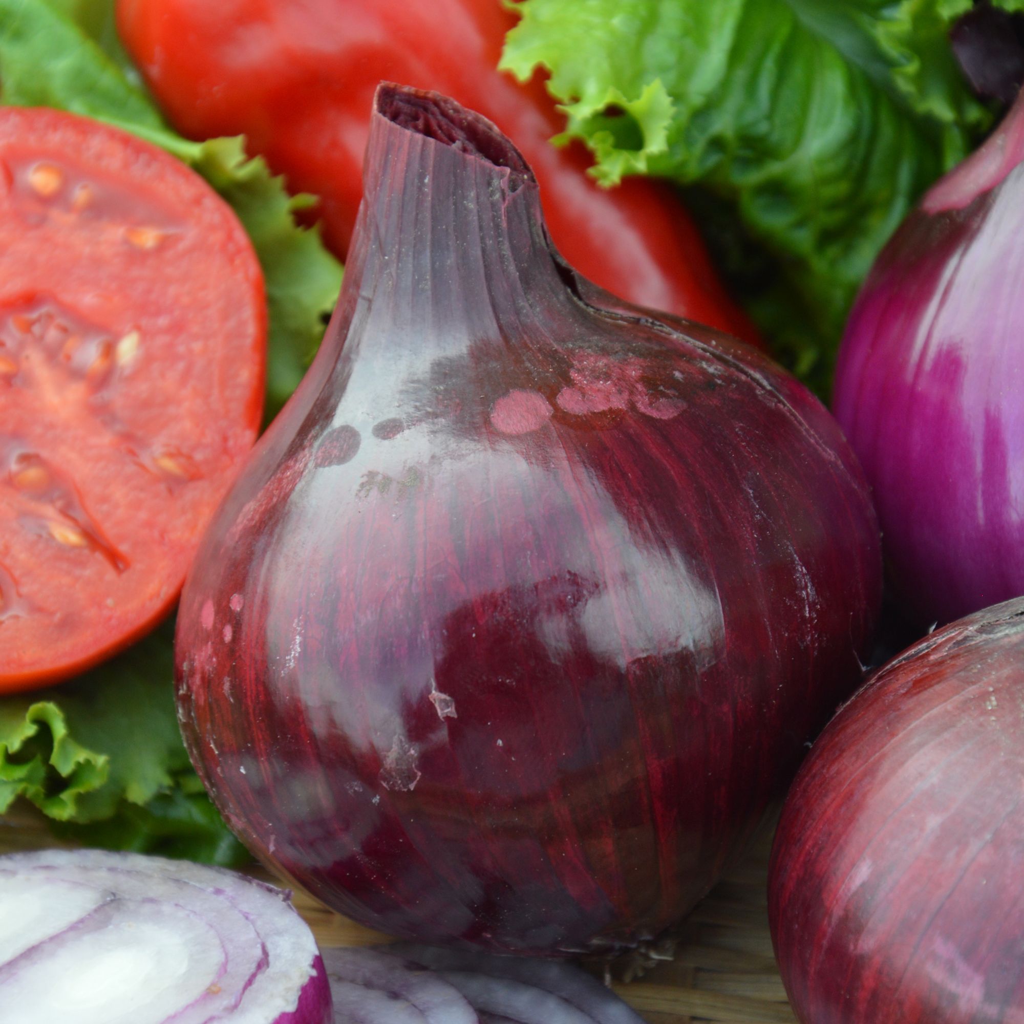 Verve Onion 'Red Karmen' Vegetable Seeds