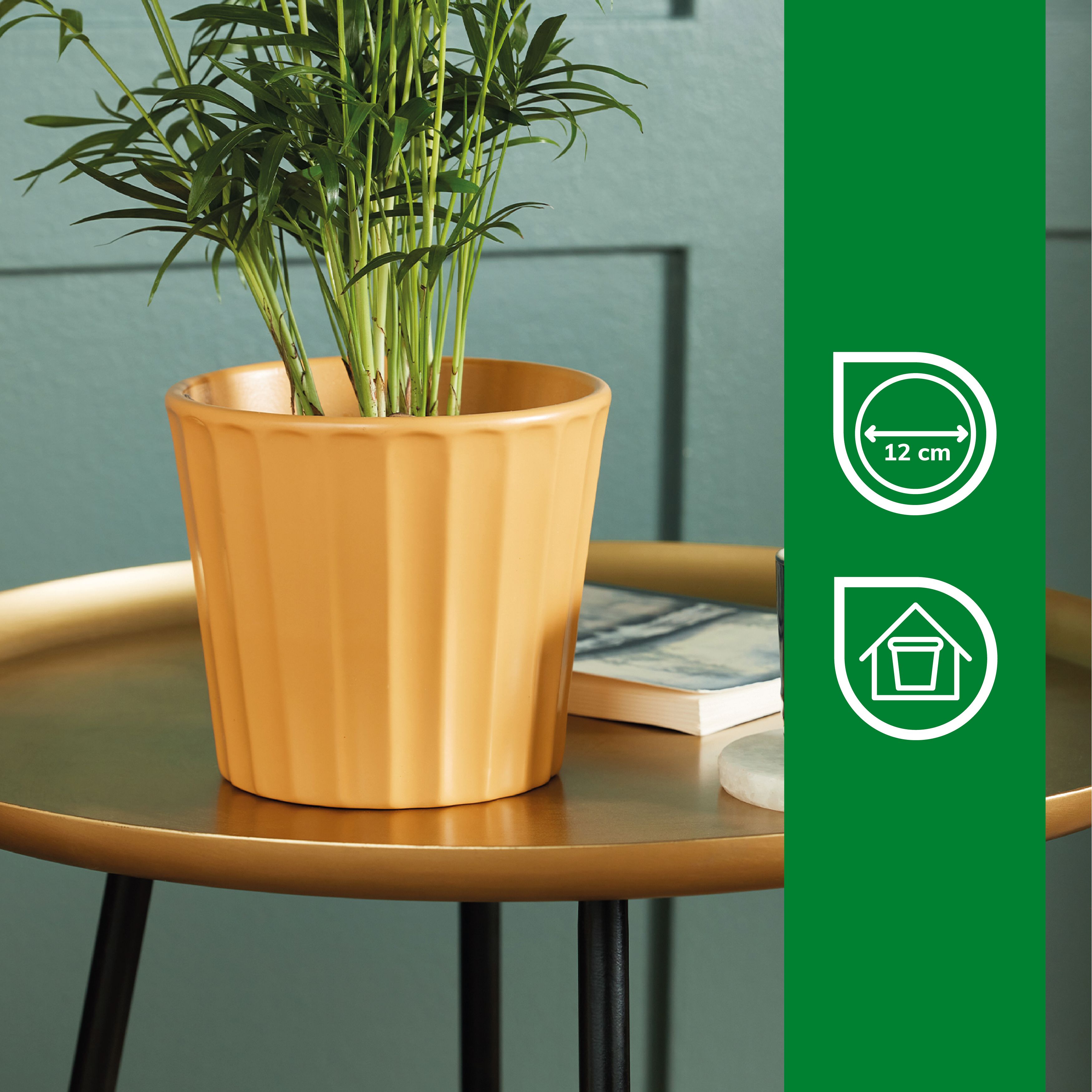 Verve Painted Golden Apricot Ribbed Clay Plant pot (Dia) 14.5cm, (H)13cm