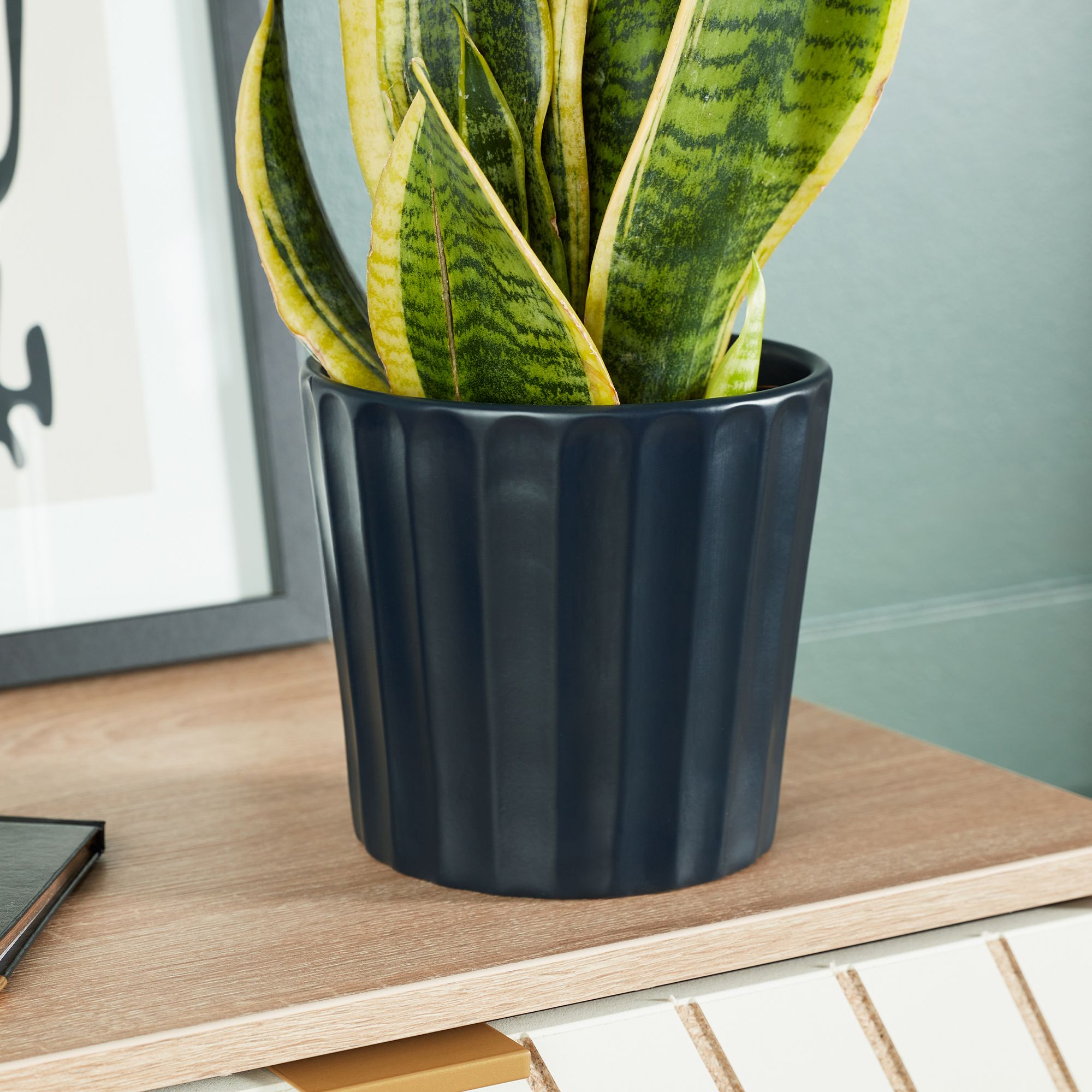 Verve Painted Midnight Navy Ribbed Clay Plant pot (Dia) 16.5cm, (H)15cm