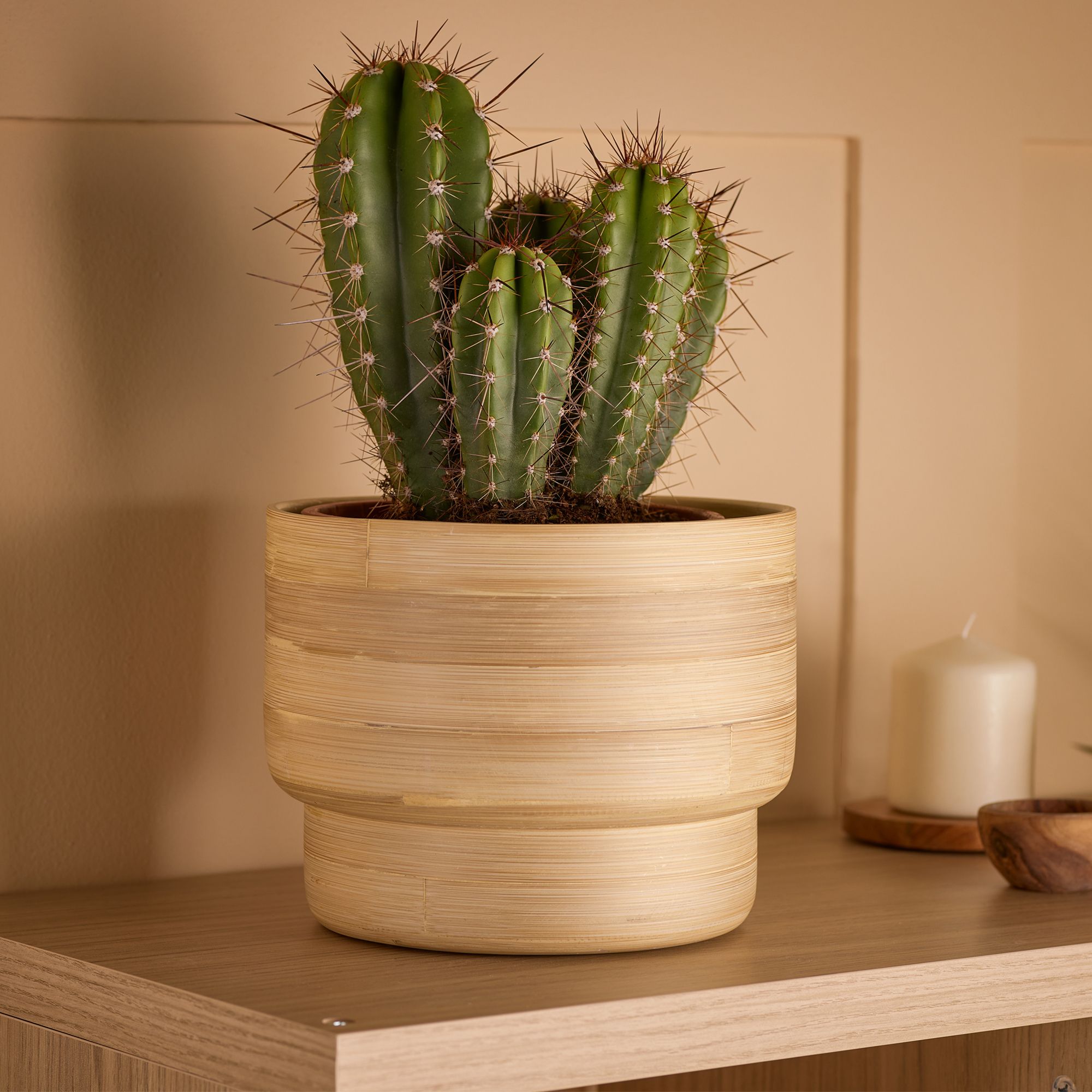 Verve Painted Natural Bamboo Plant pot (Dia) 20.5cm, (H)16.5cm