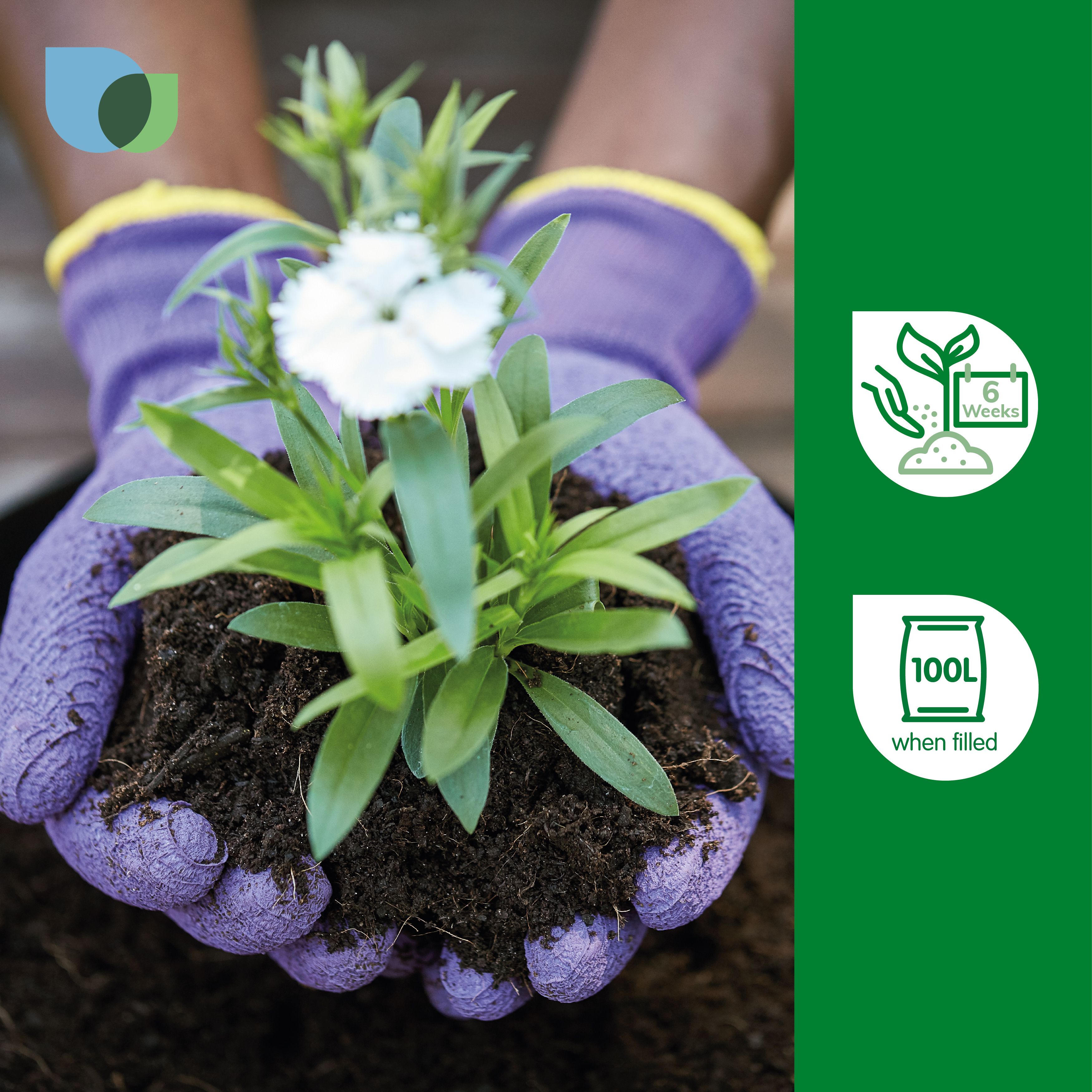 Verve Peat-free Multi-purpose Compost 100L