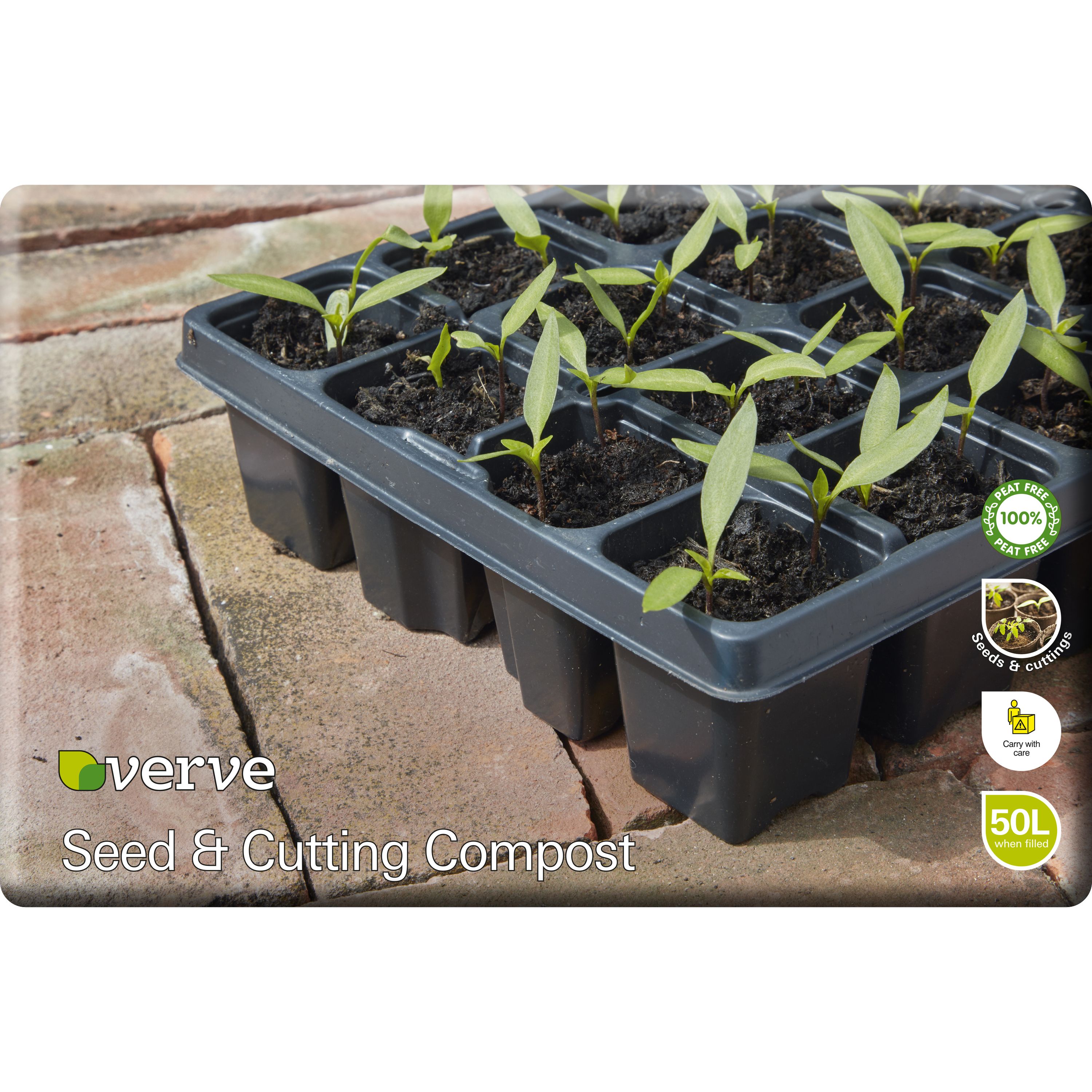Verve Peat-free Seed & cutting Compost 50L | DIY at B&Q