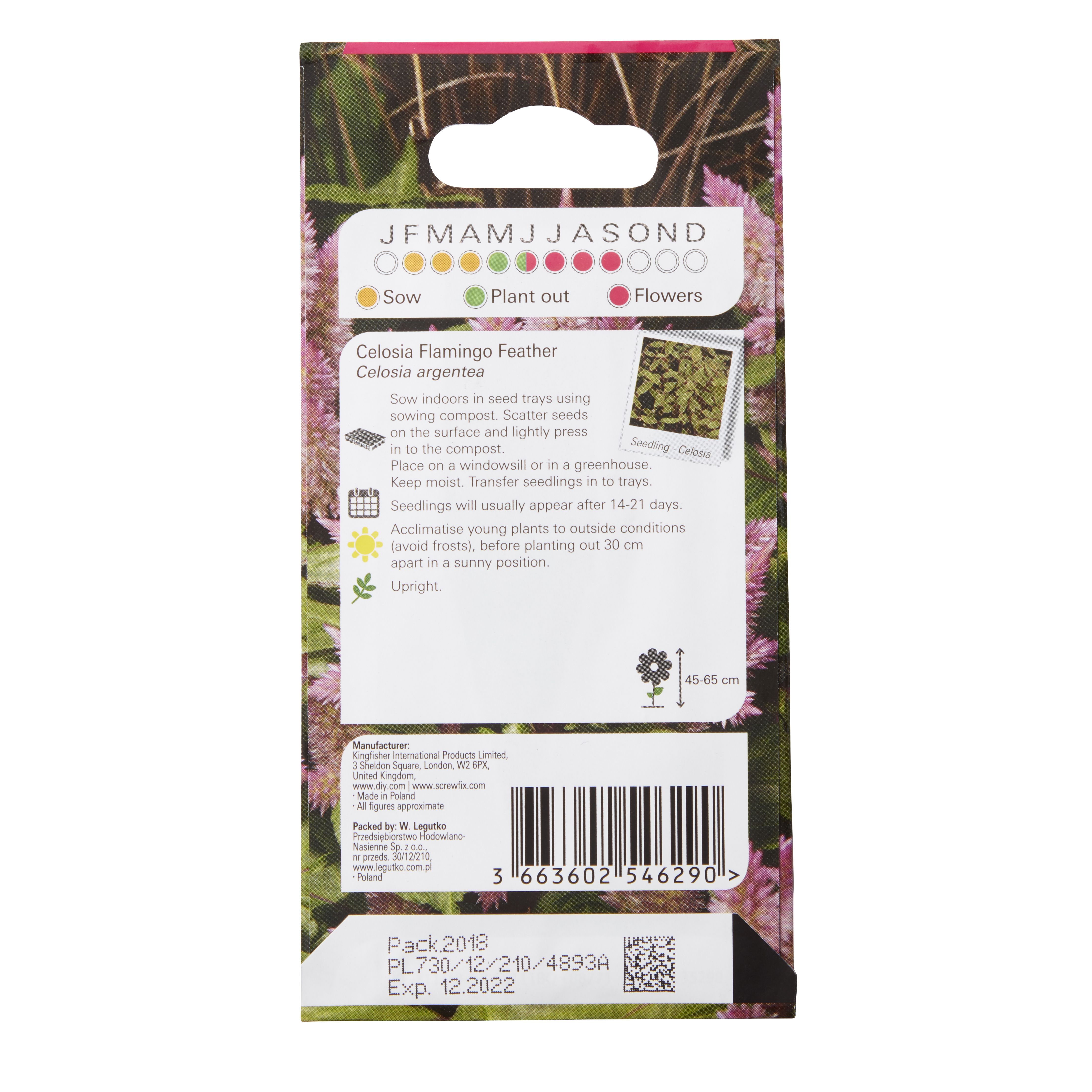 Verve Pink seed Celosia Seeds