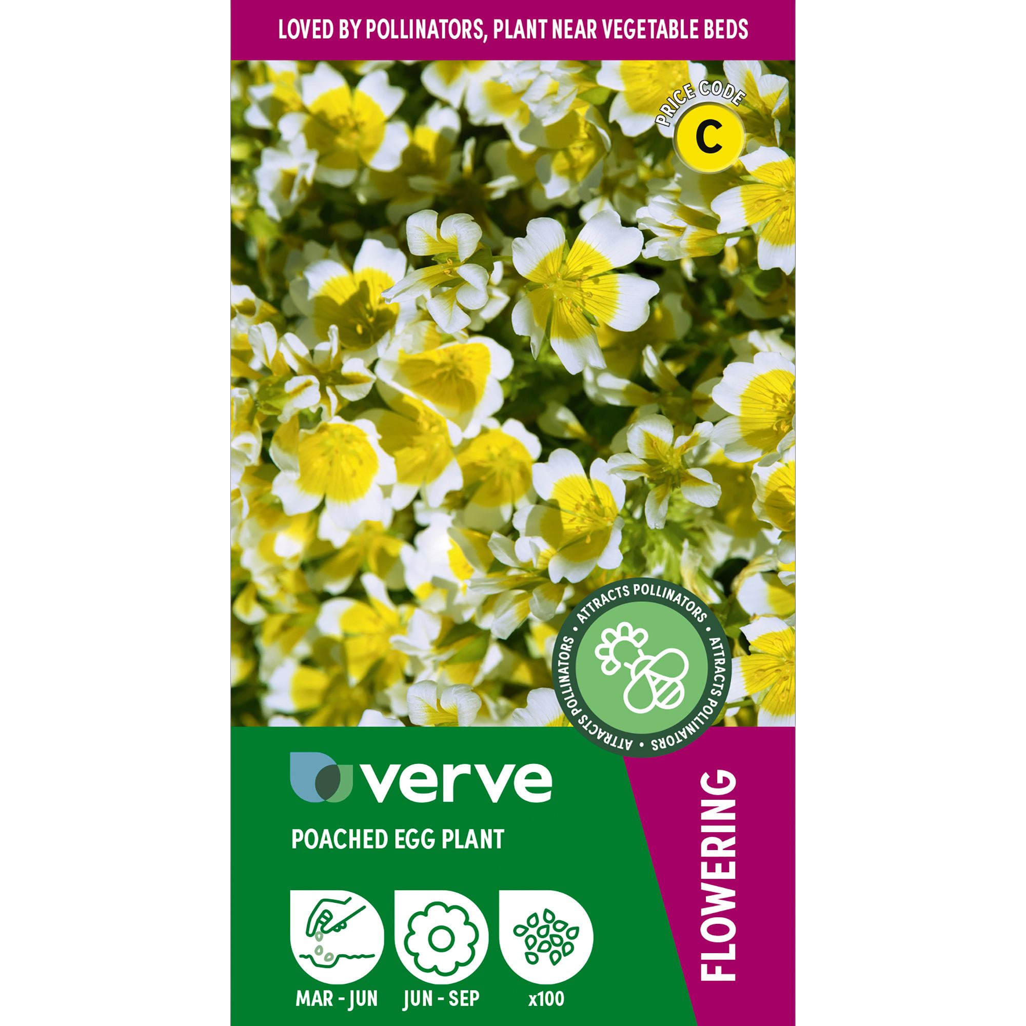 Verve Poached Egg Plant Seeds