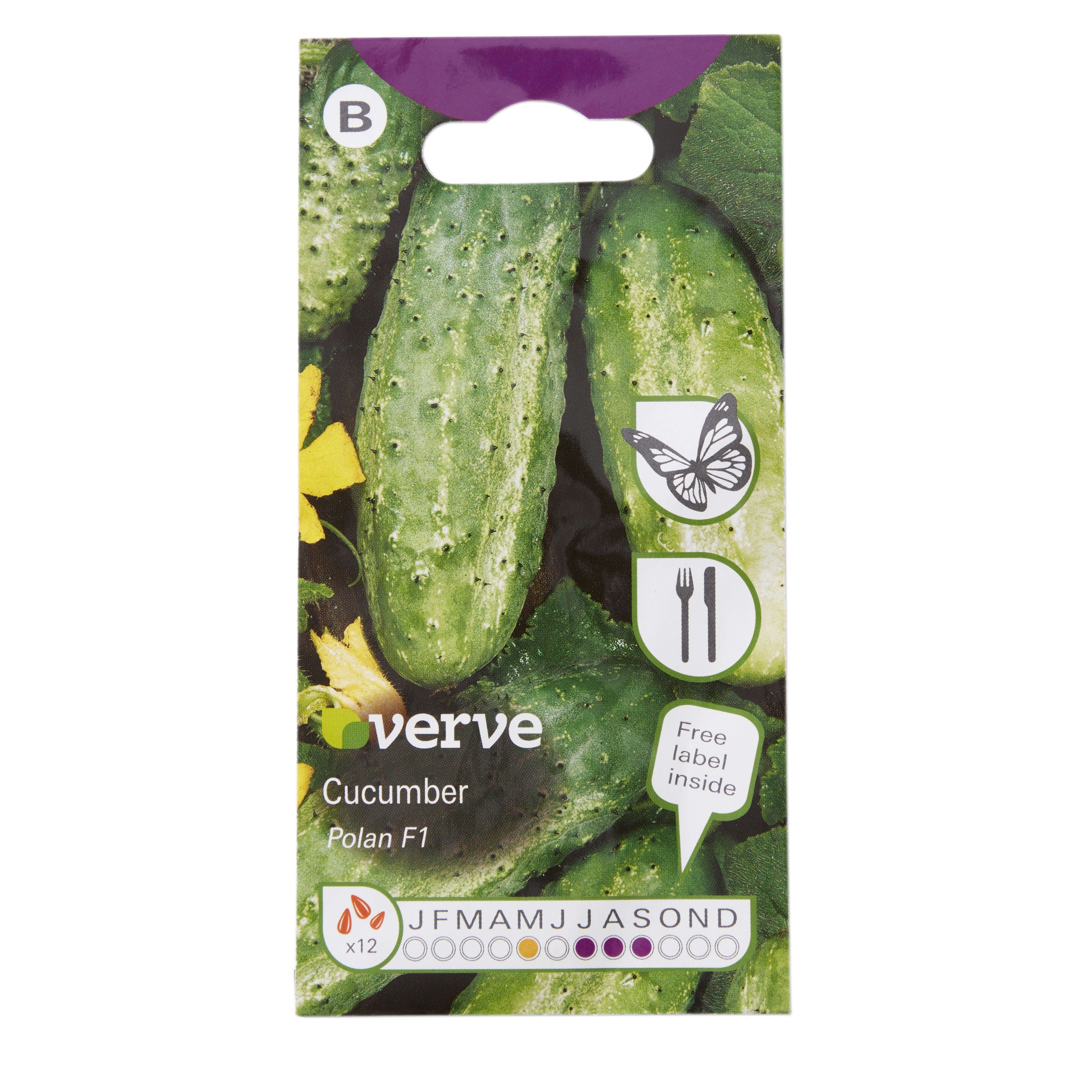 Verve 'Polan cucumber' Vegetable Seeds