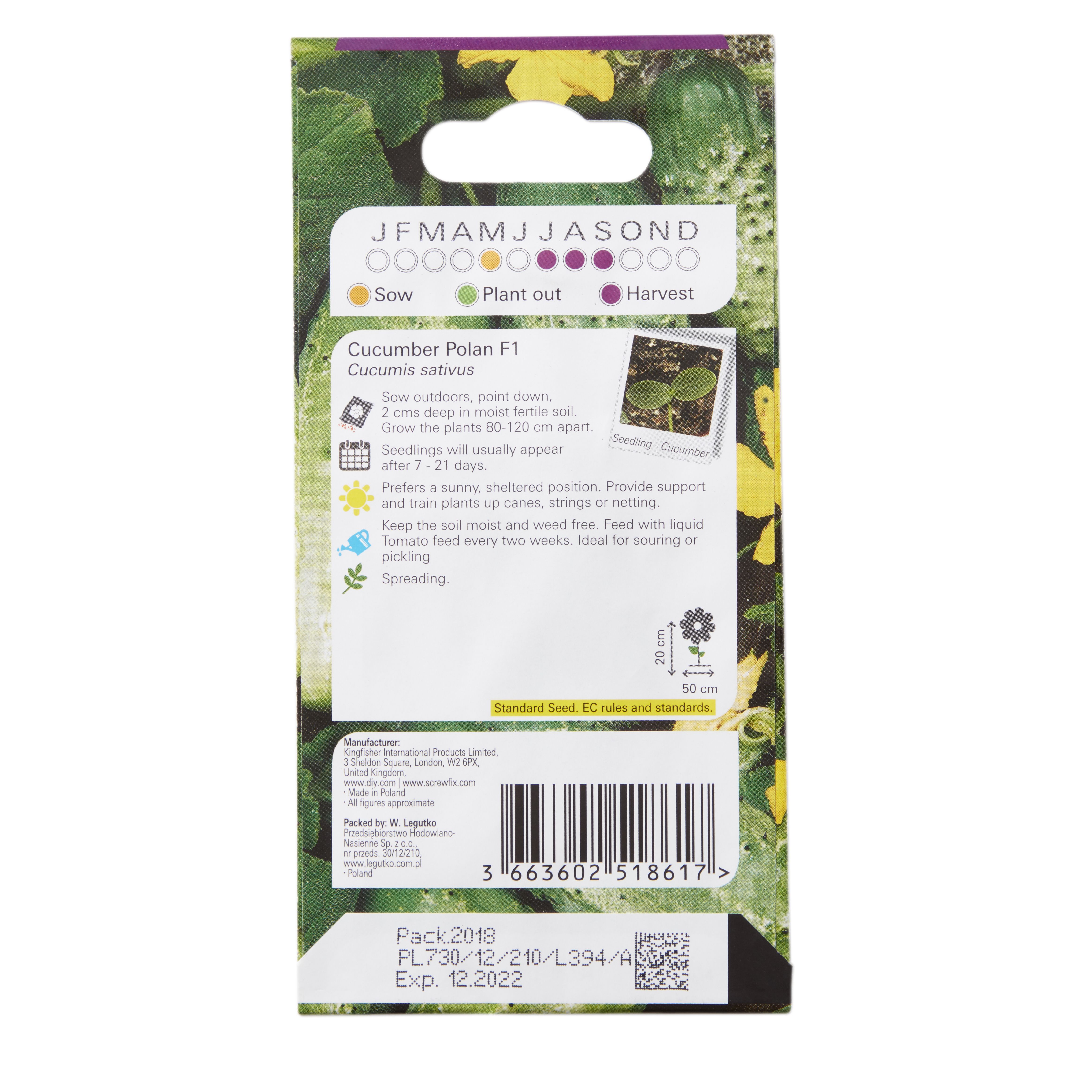 Verve 'Polan cucumber' Vegetable Seeds