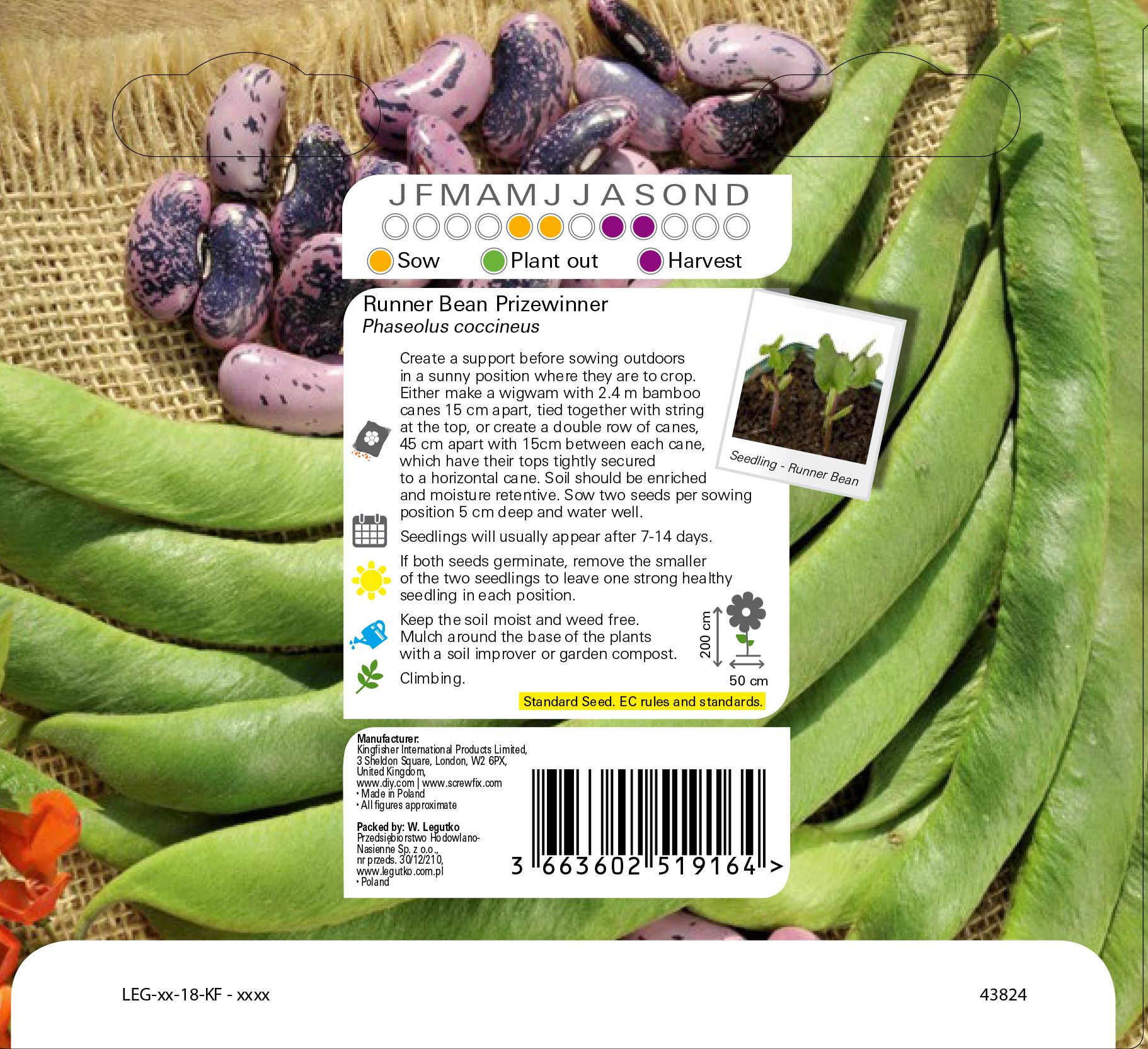 Verve Prizewinner runner bean Vegetable Seeds