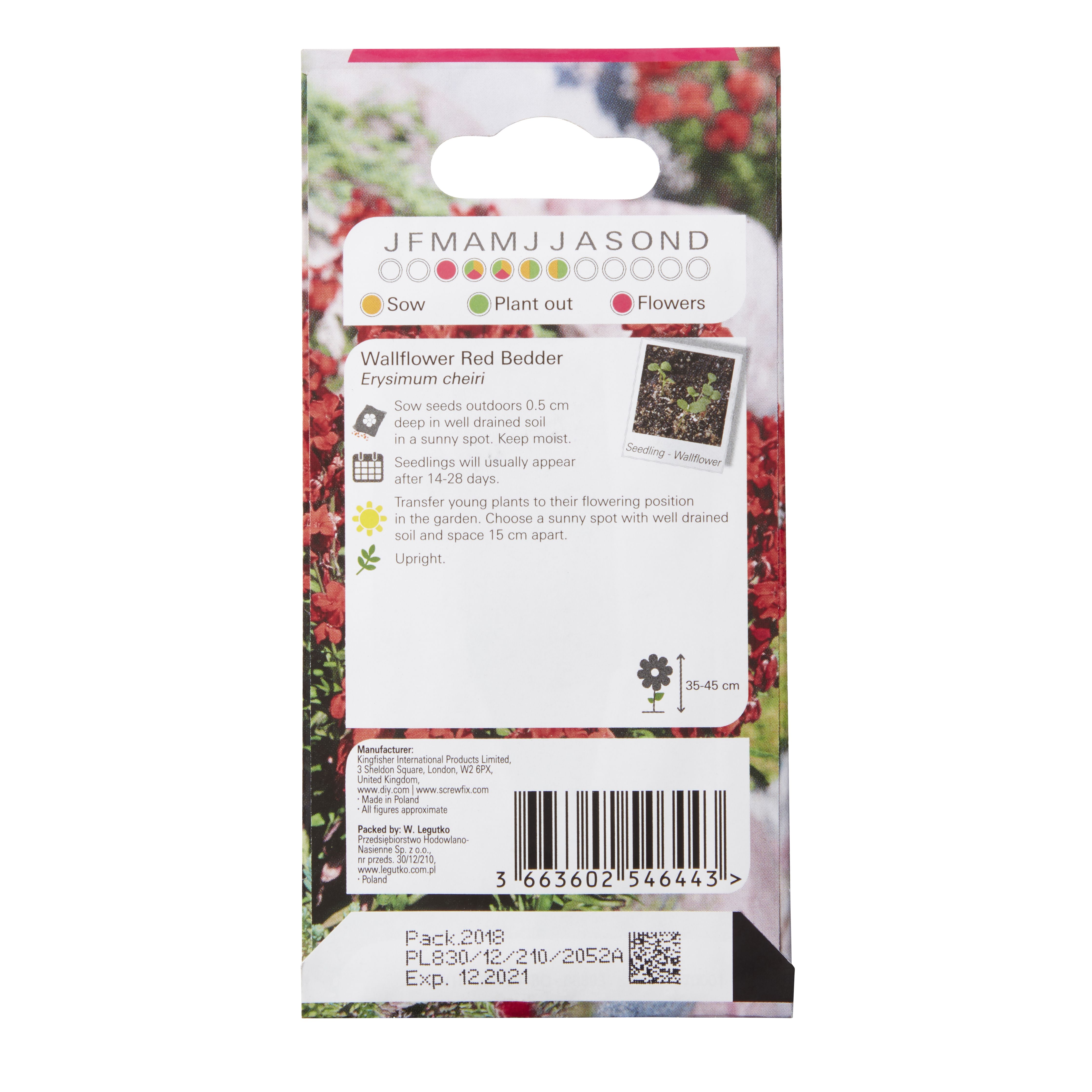 Verve Red bedder Wallflower Seeds