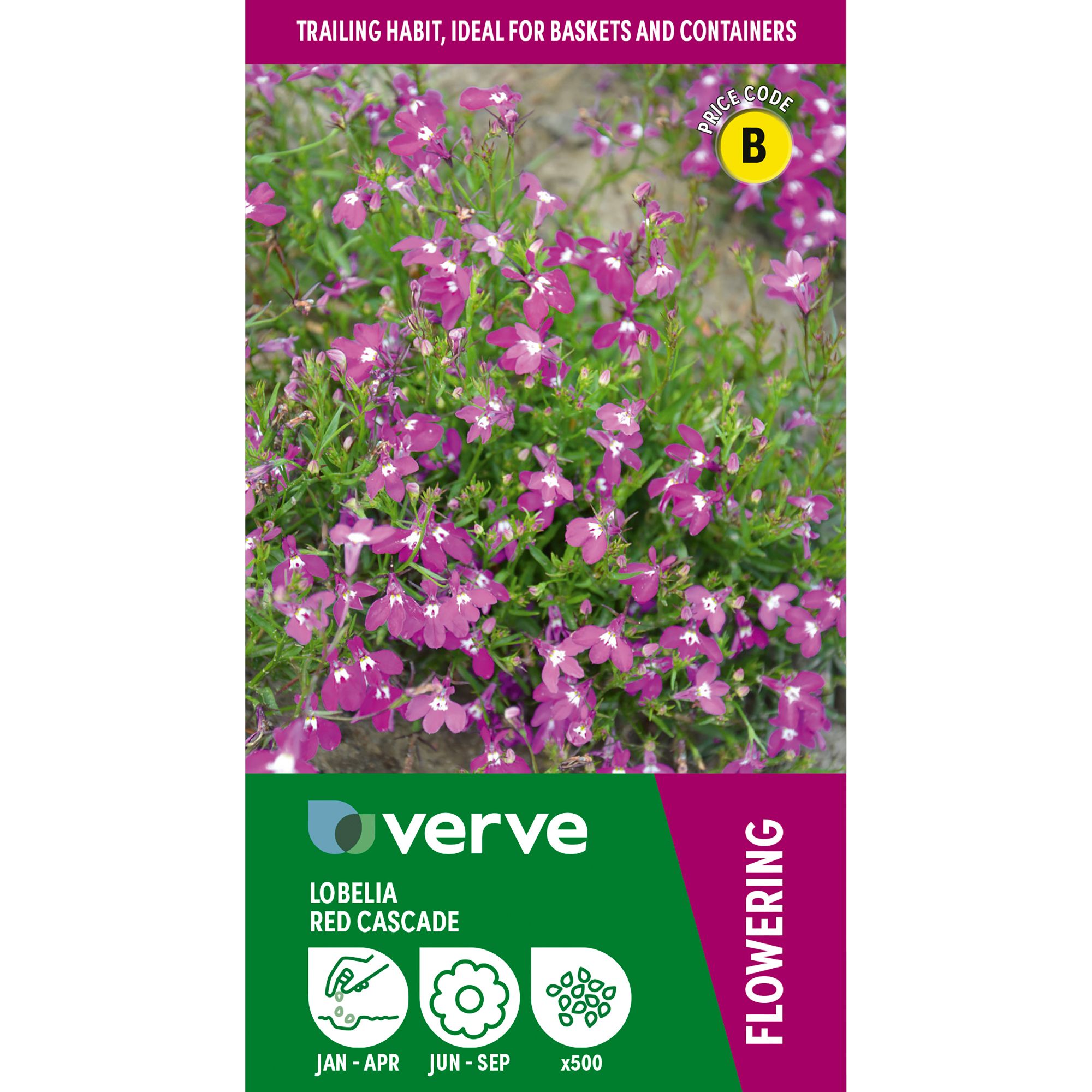 Verve Red Cascade Lobelia Seeds