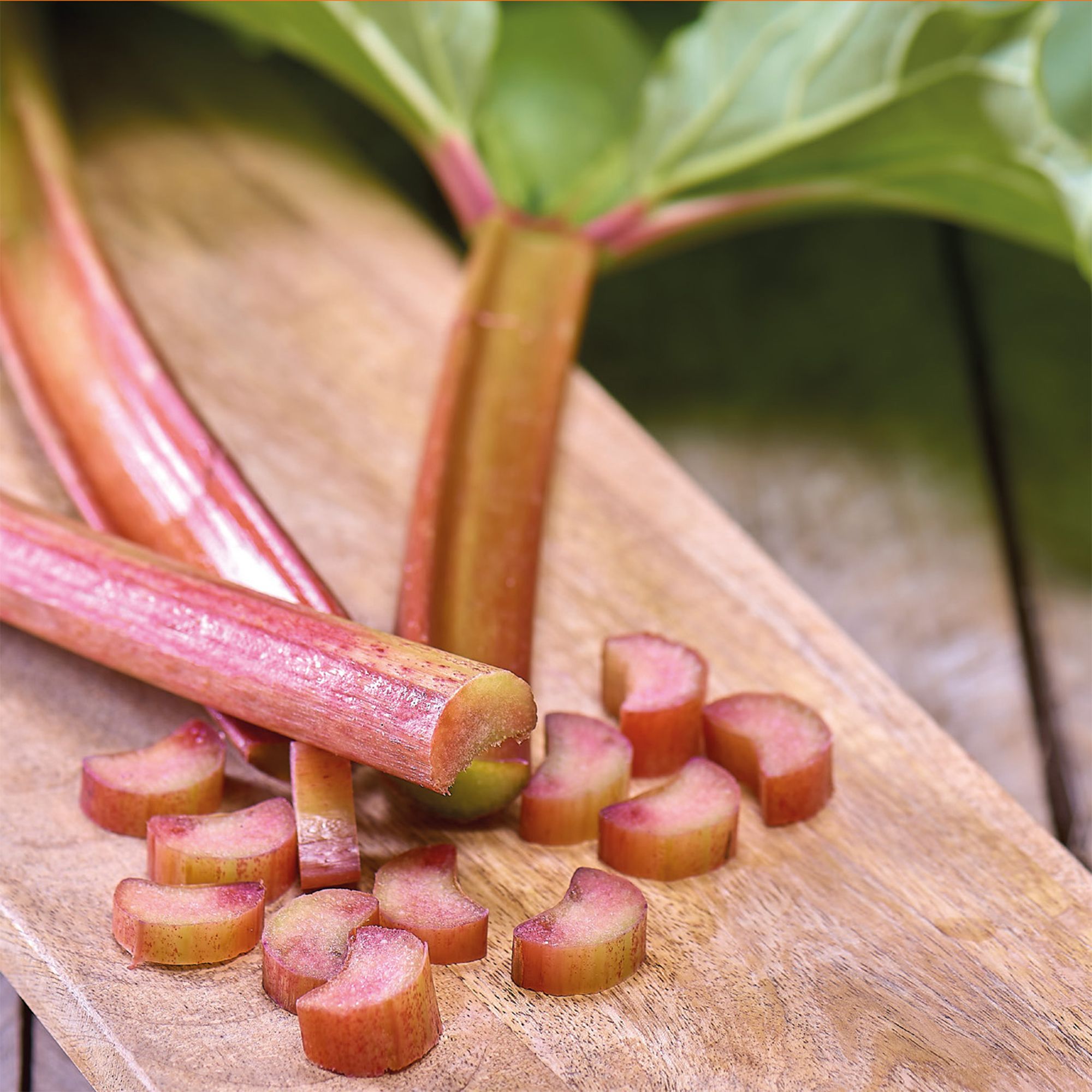 Verve Red Champagne Rhubarb Crown