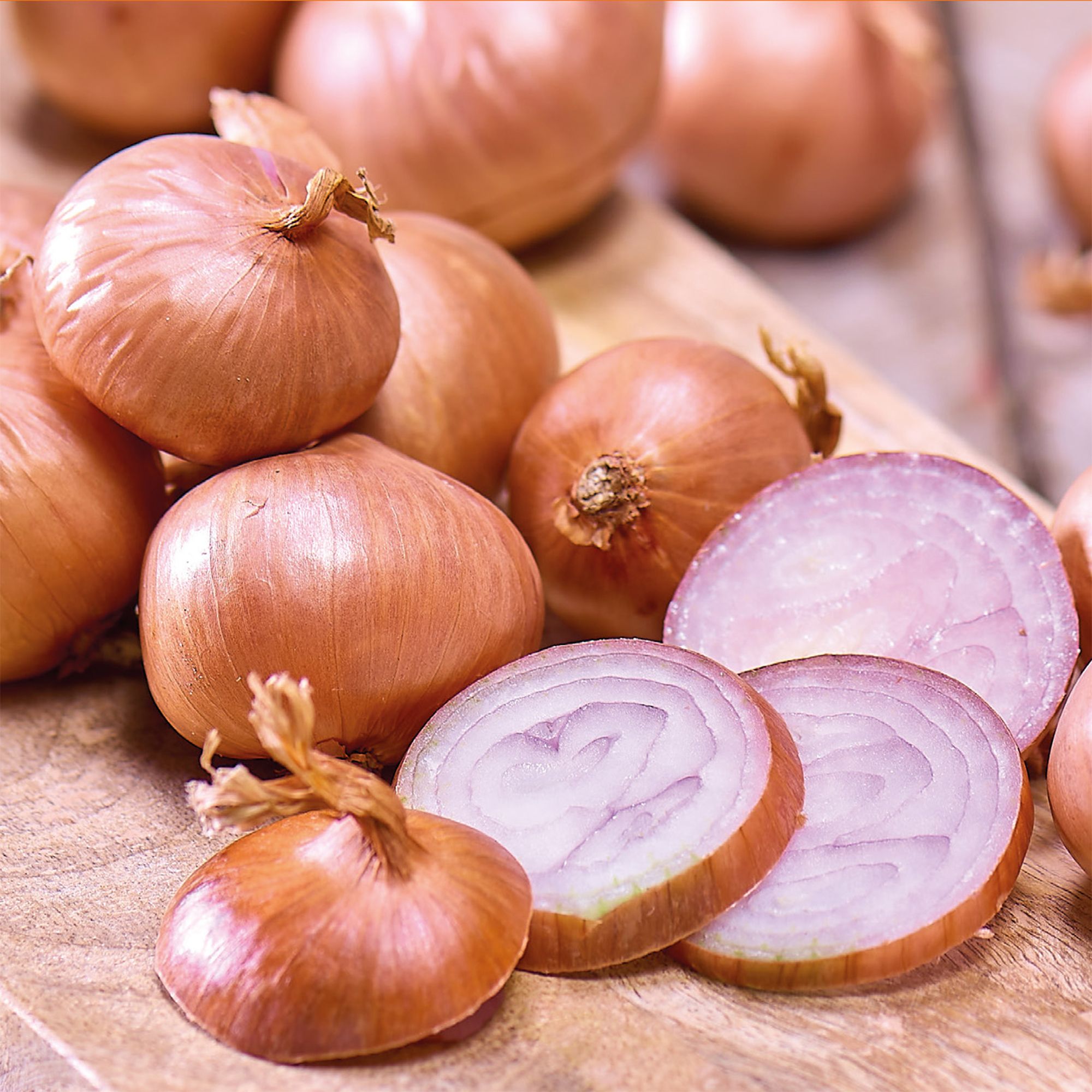 Verve Red Sun Shallot Sets