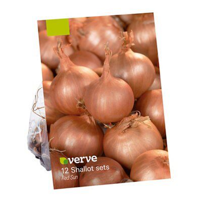 Verve Red sun Shallot | DIY at B&Q