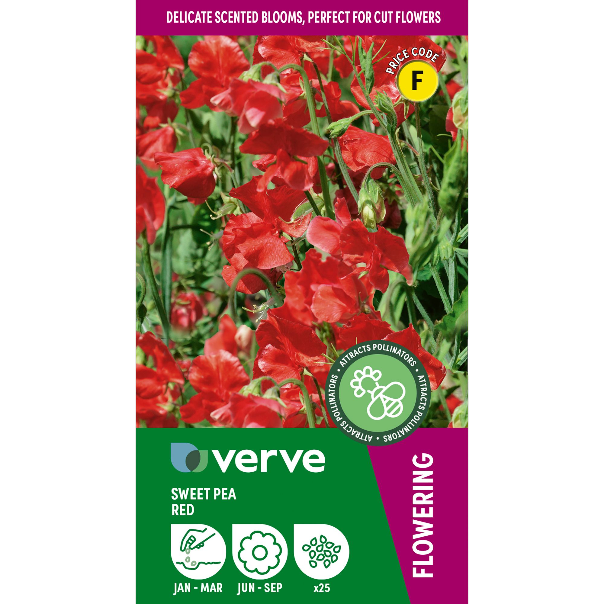 Verve Red Sweet Pea Flower Seeds
