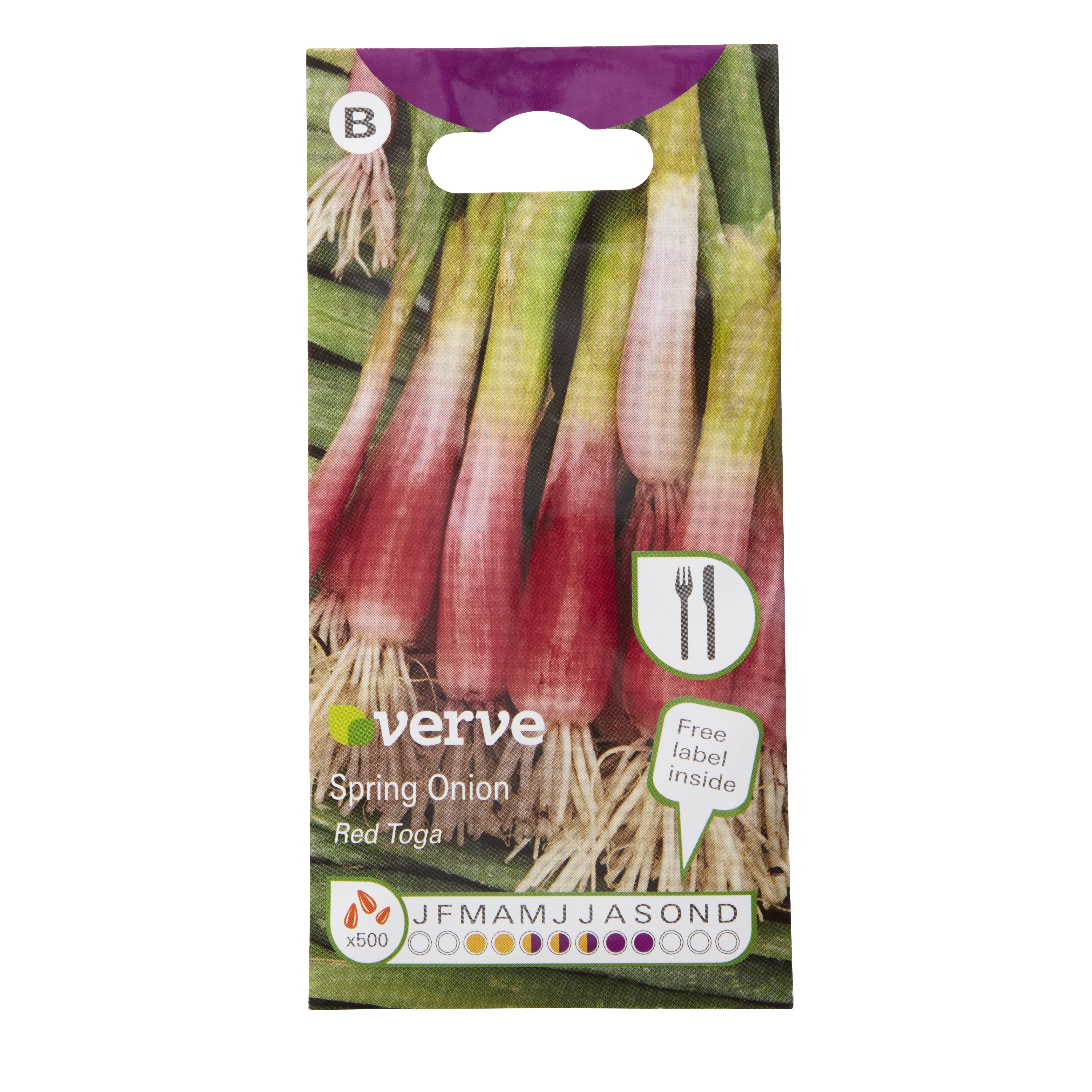 Verve Red toga spring onion Seeds | DIY at B&Q