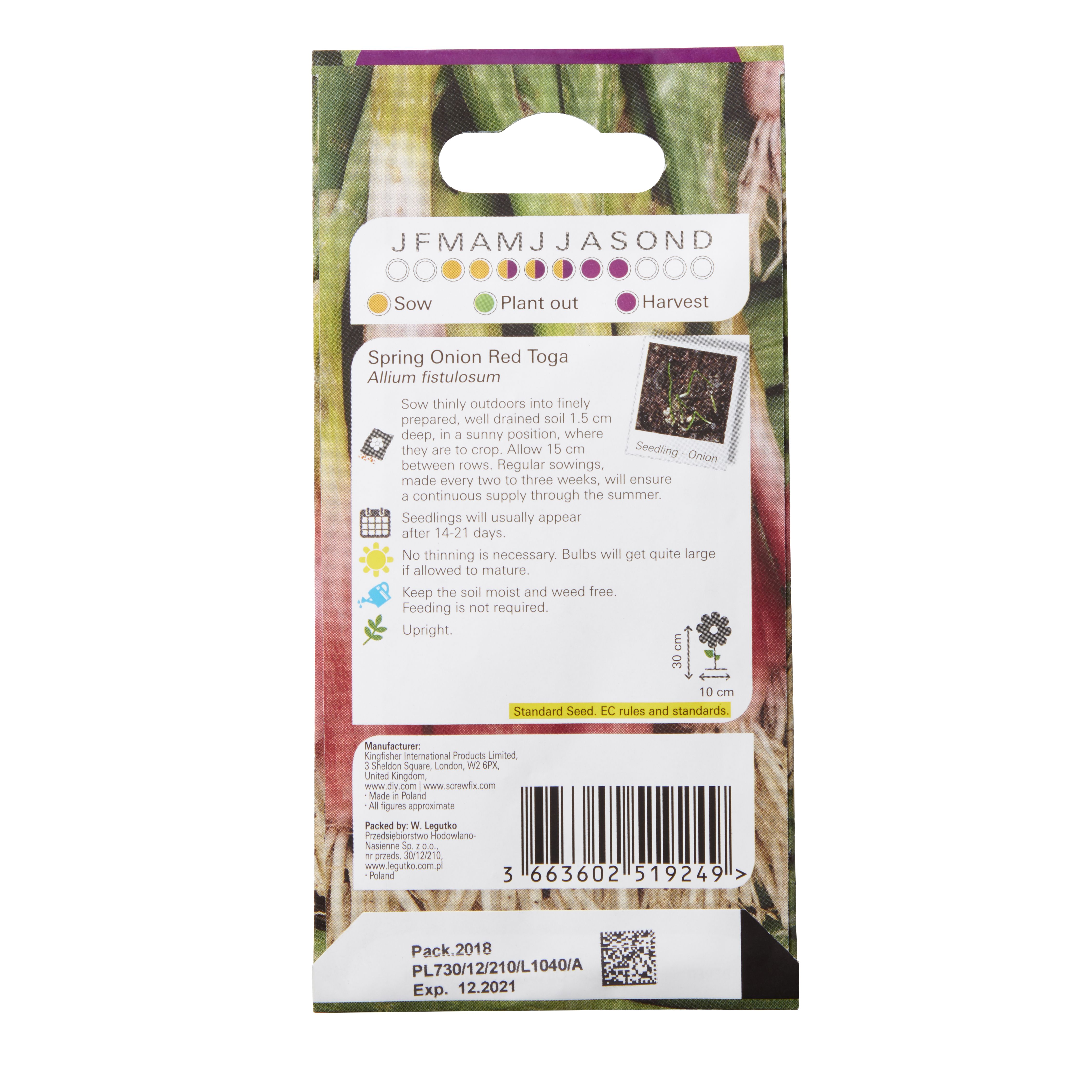 Verve Red toga spring onion Vegetable Seeds