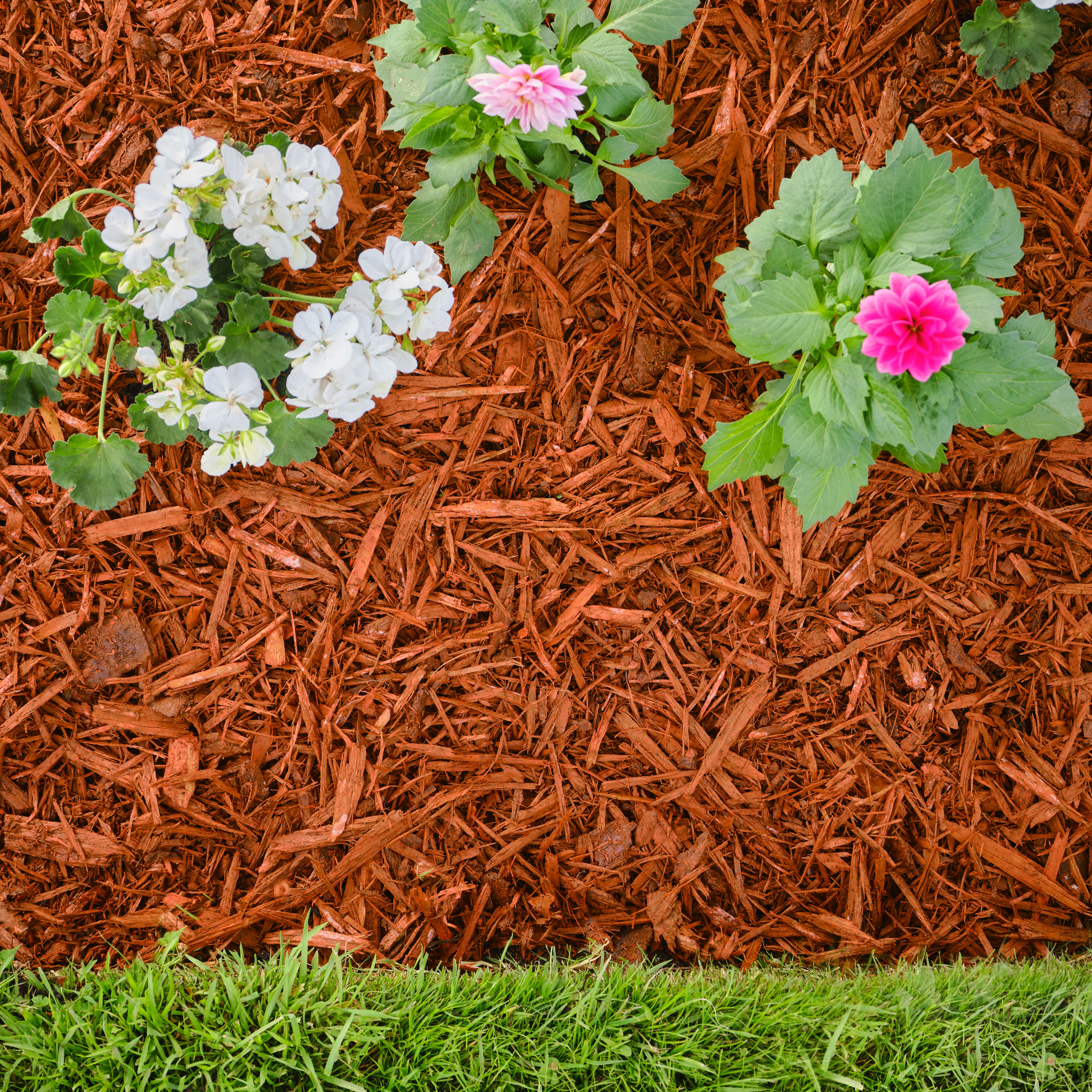 Verve Red Woodchip mulch 100L Bag | DIY at B&Q