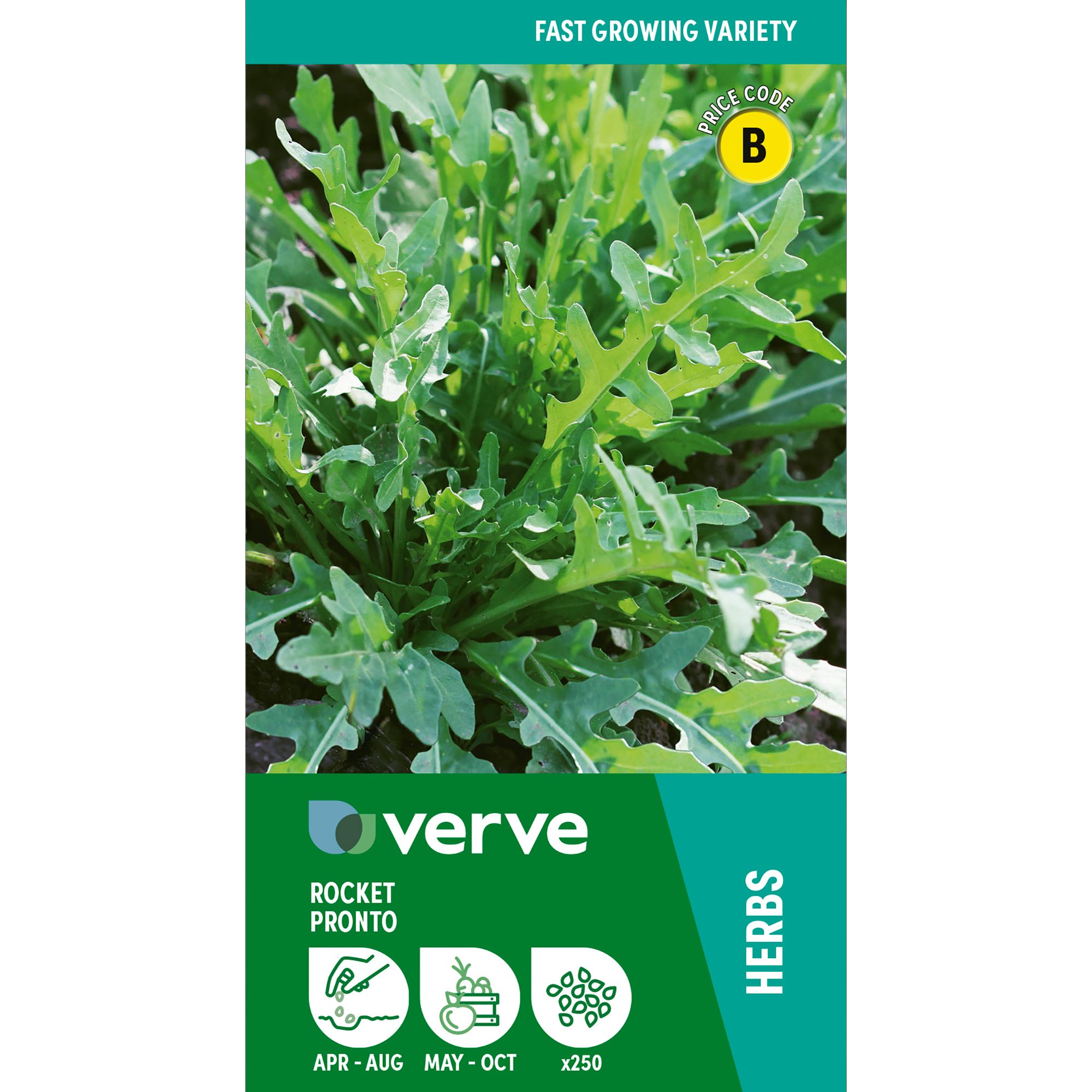 Verve Rocket 'Pronto' Vegetable Seeds