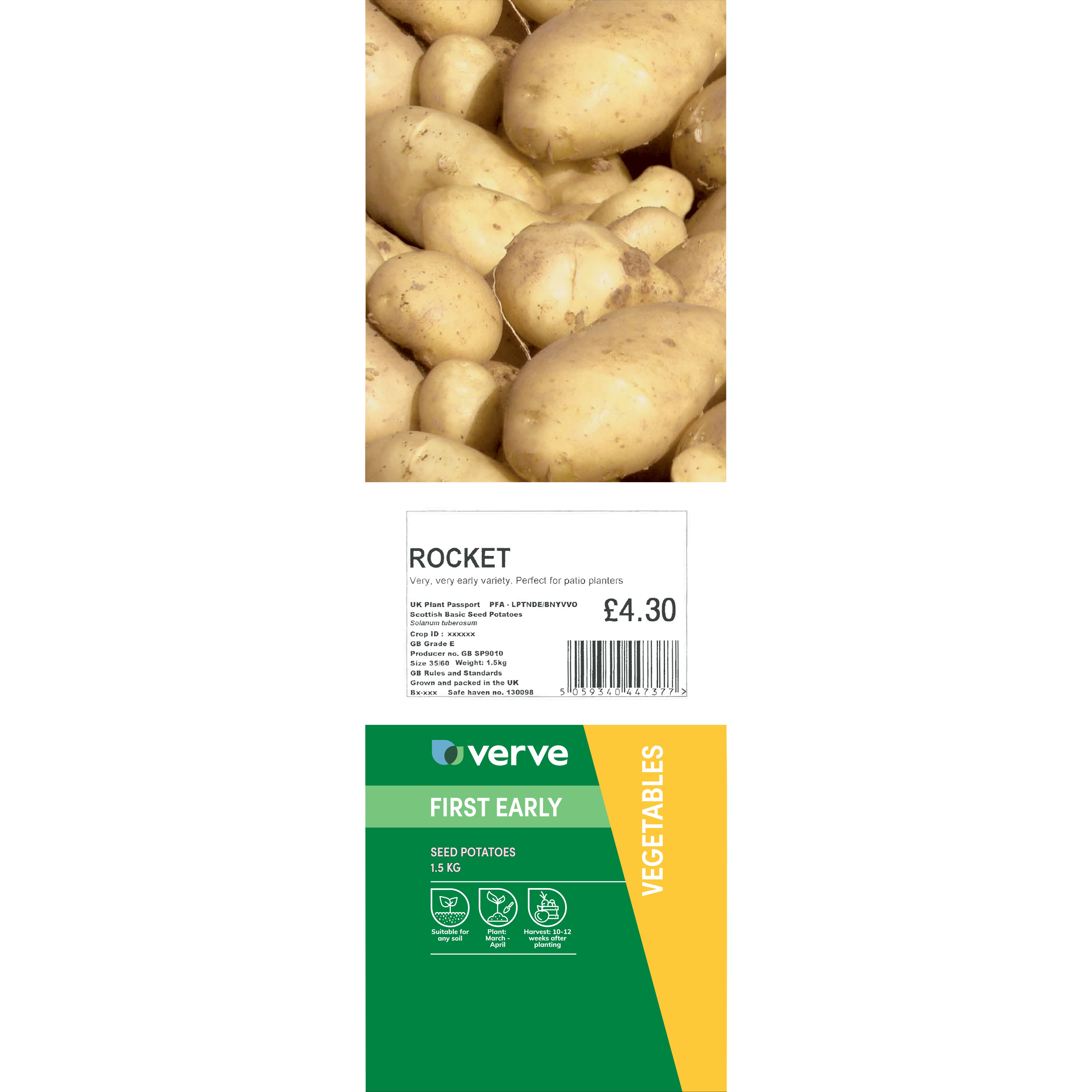 Verve Rocket Seed Potato | DIY at B&Q