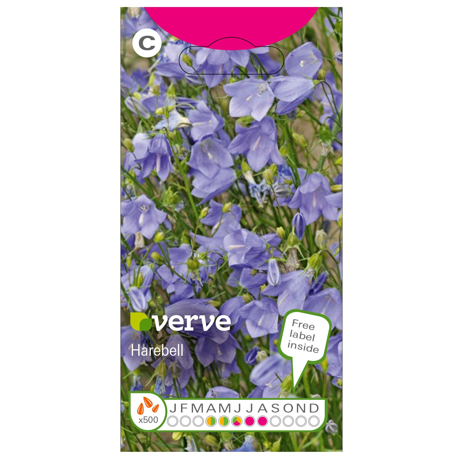 Verve Rotundifolia Seeds