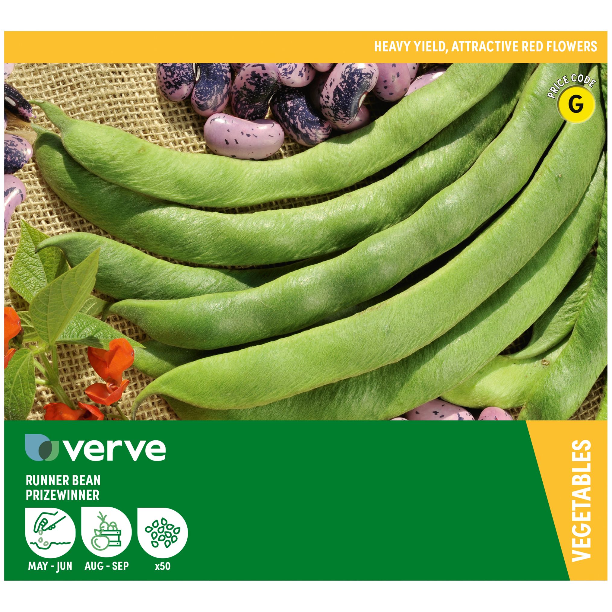 Verve Runner bean 'Prizewinner' Vegetable Seeds | DIY at B&Q