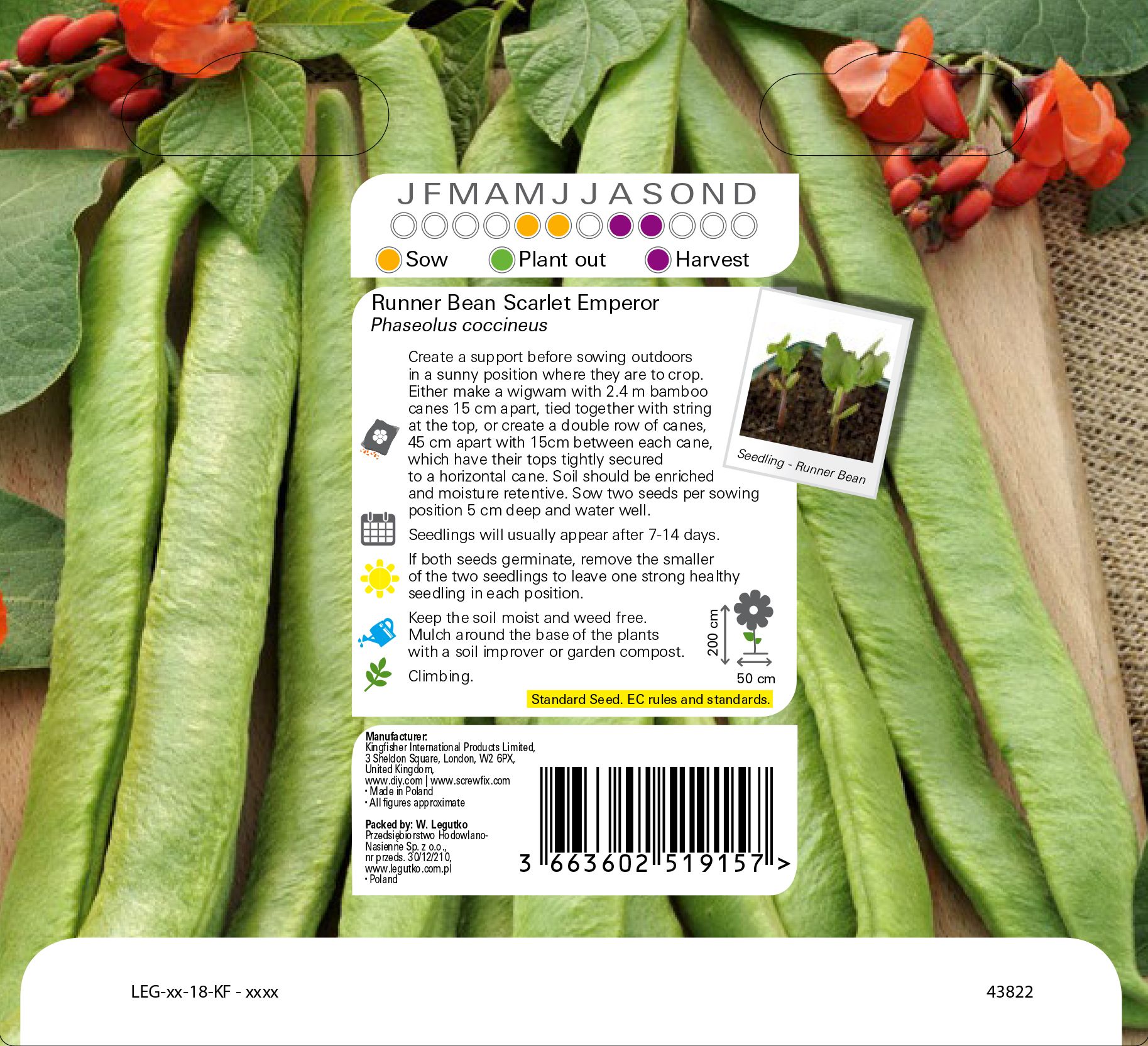 Verve Runner bean scarlett emperor Vegetable Seeds