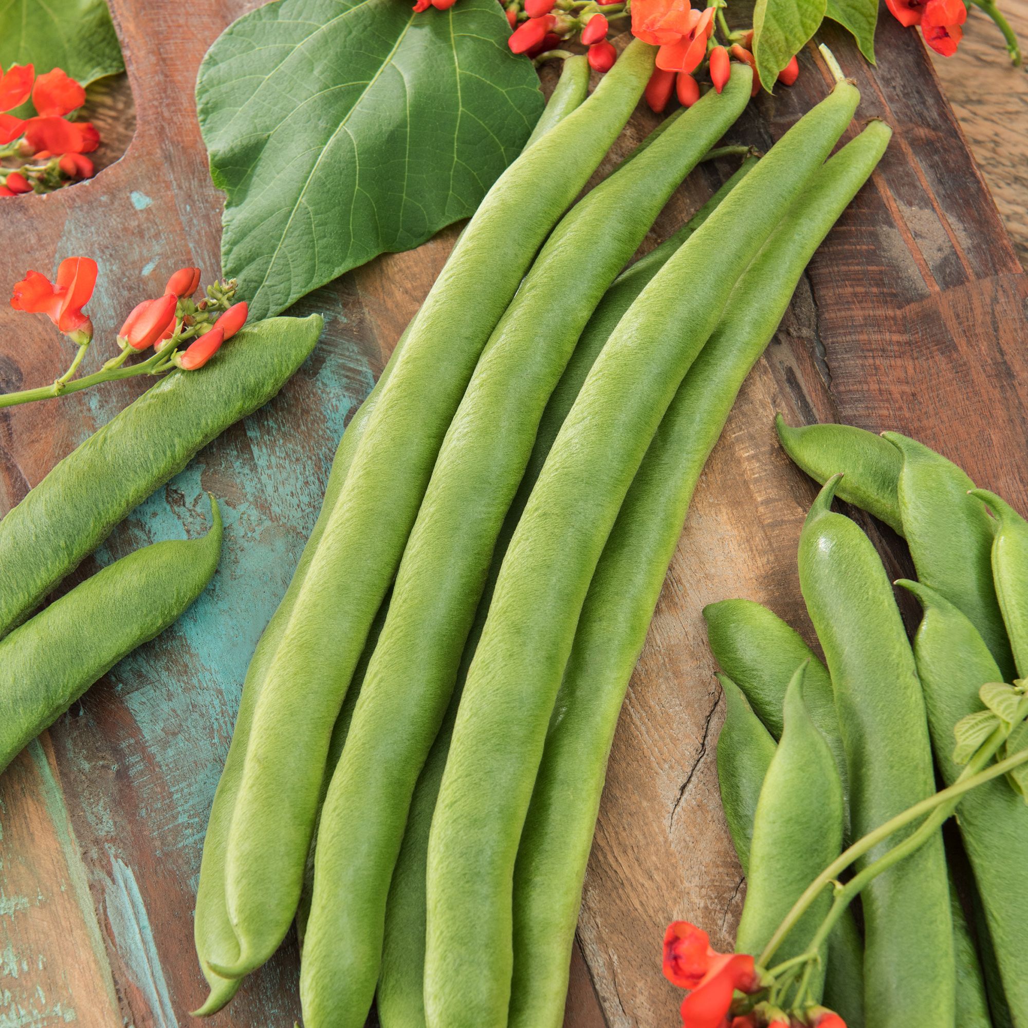 Verve Runner bean scarlett emperor Vegetable Seeds