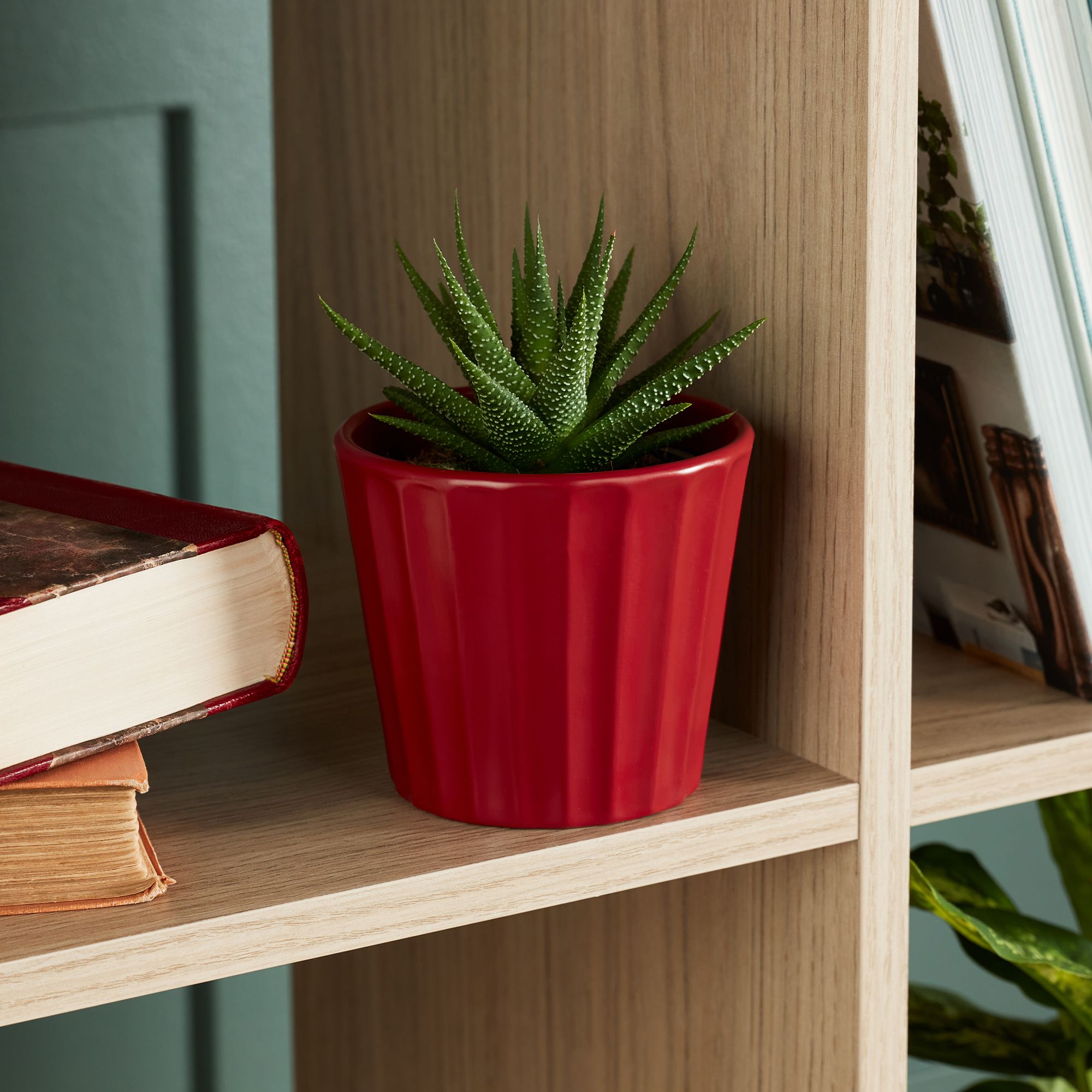 Verve Scarlet Sage Ribbed Clay Plant pot (Dia) 11cm, (H)10cm