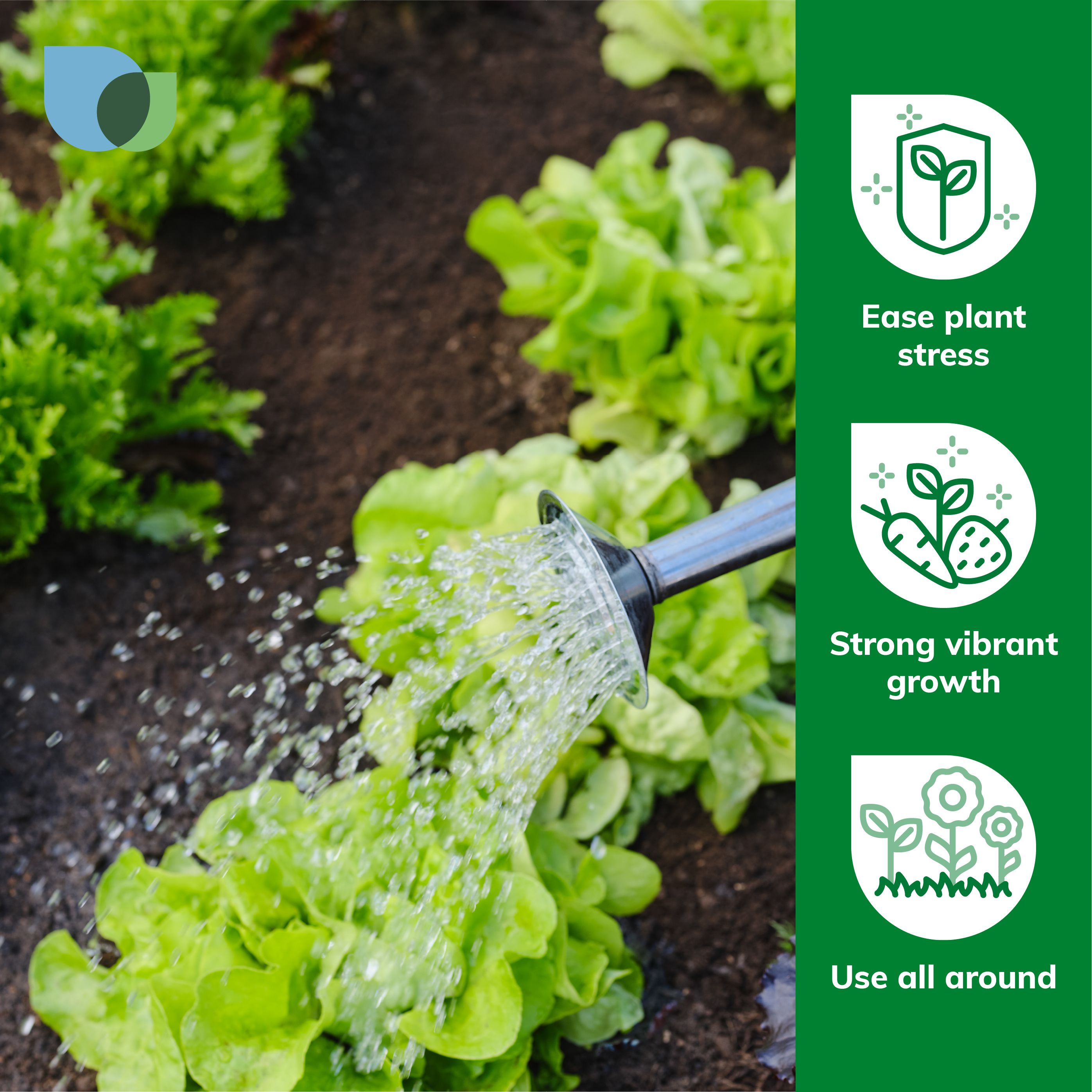 Verve Seaweed Liquid Plant feed, 1L