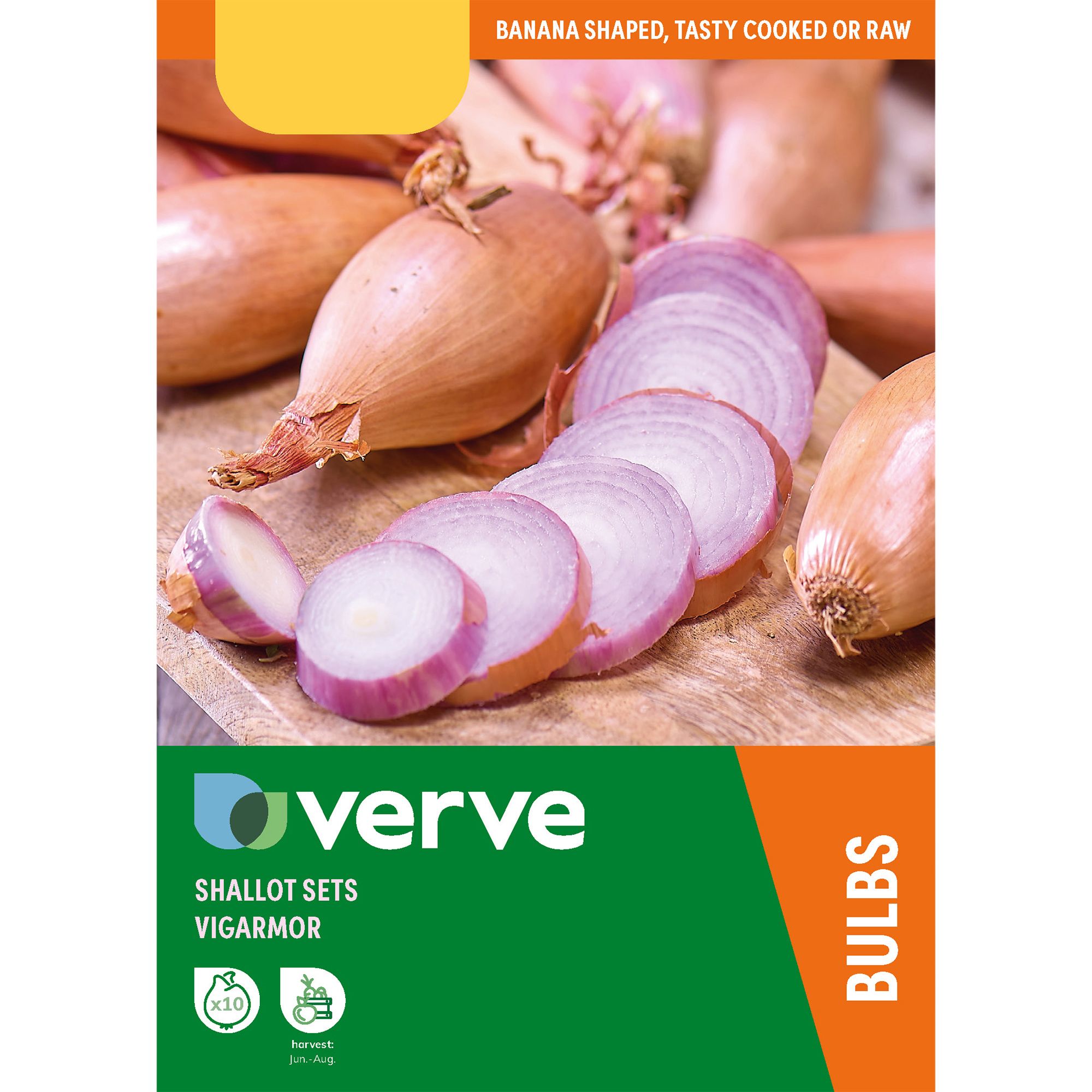 Verve Shallot Vegetable bulbs & seeds kit | DIY at B&Q